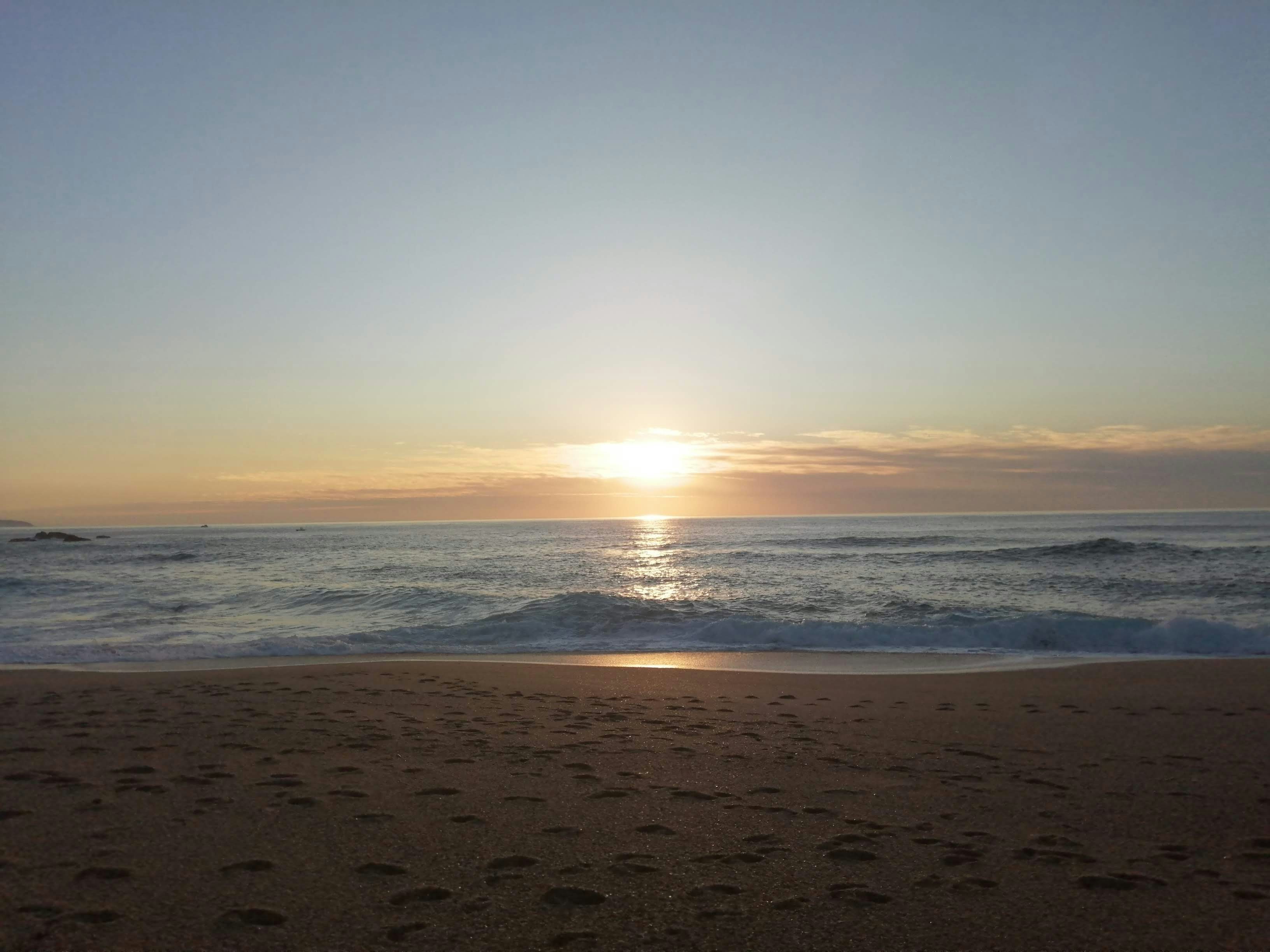 Edson Ferreira (@edsonesf) | Komunitas Foto Unsplash