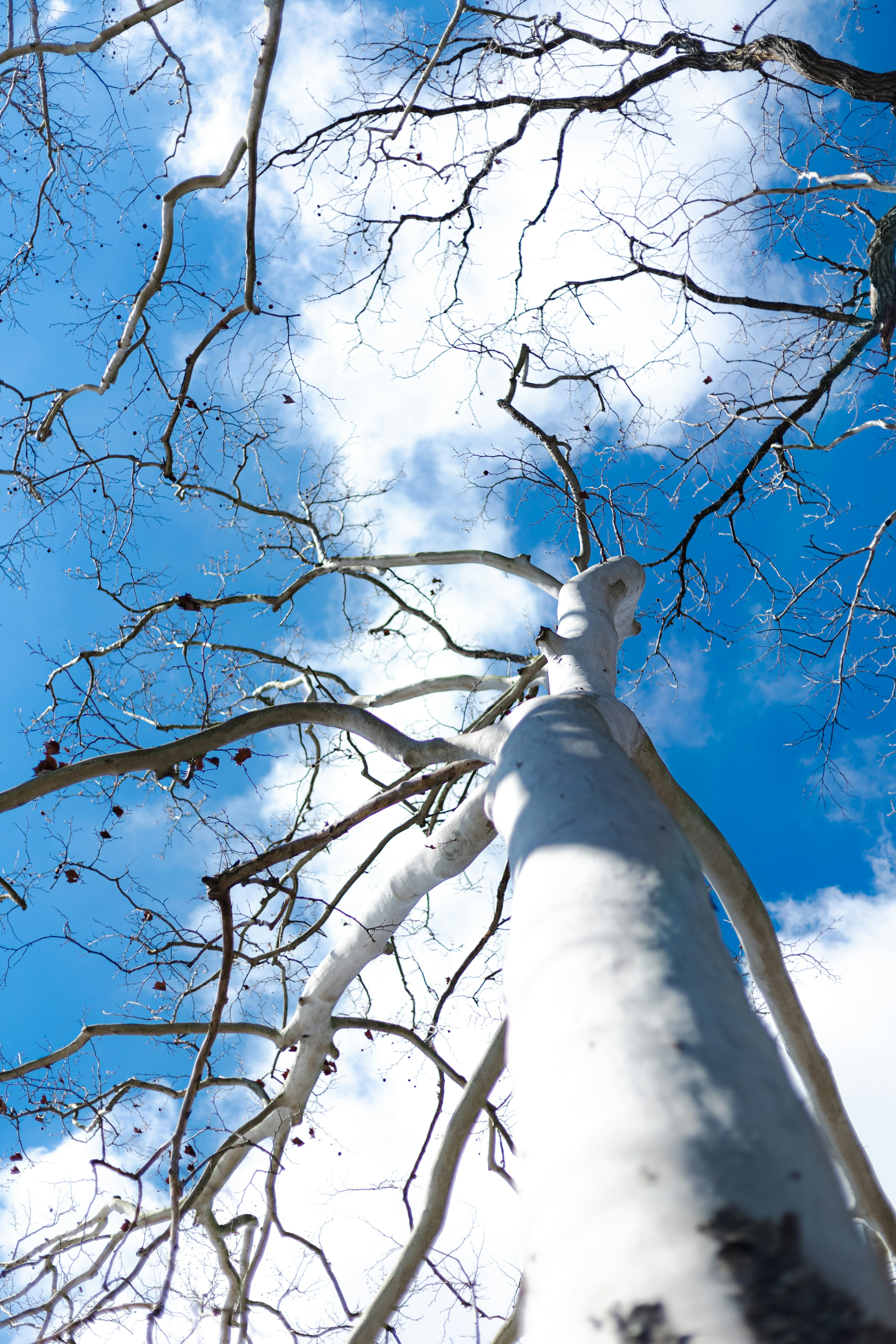 Photo by Edward Lawrence with Canon EOS R6