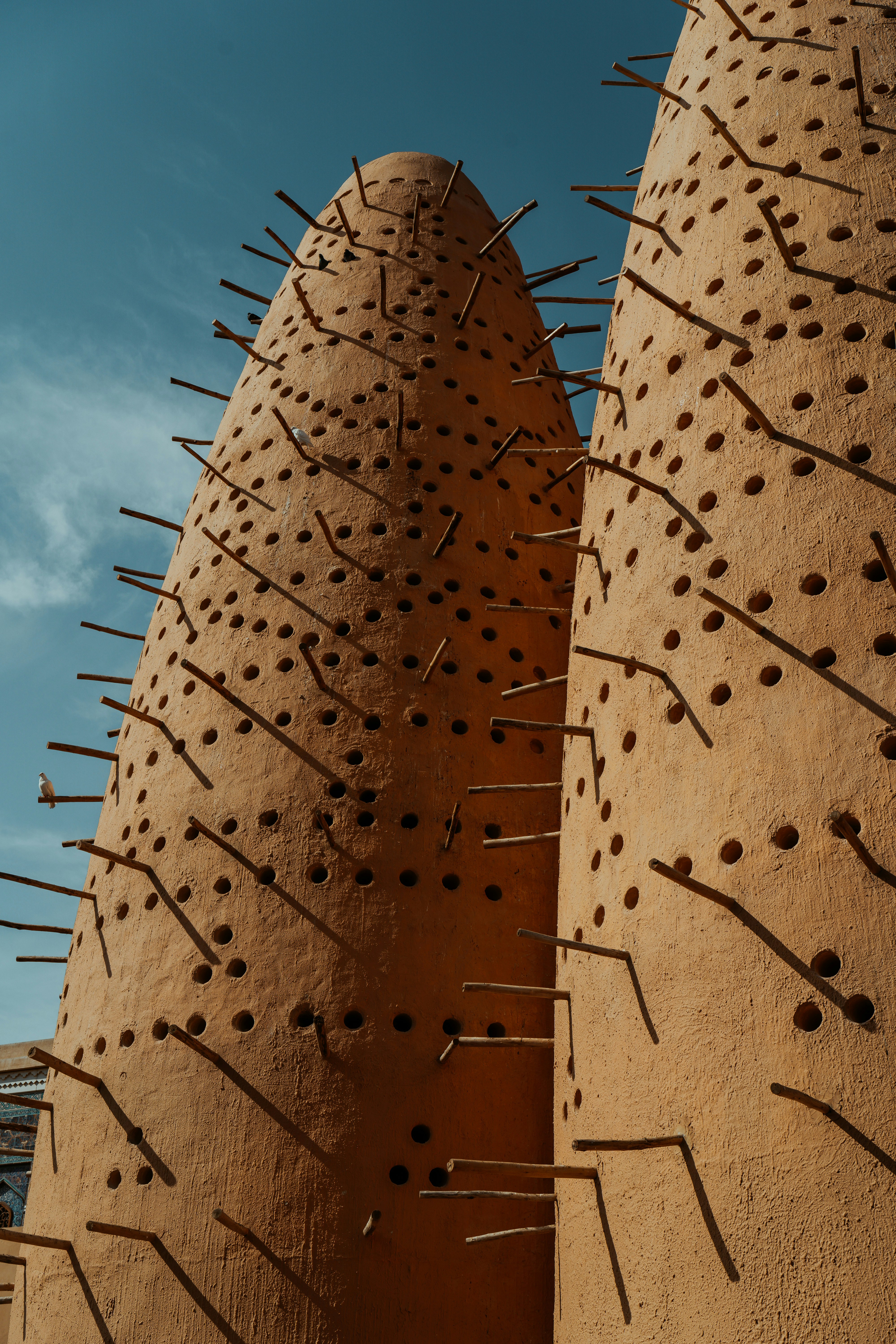 Photo by Alex Horlamus with Sony Alpha 7C