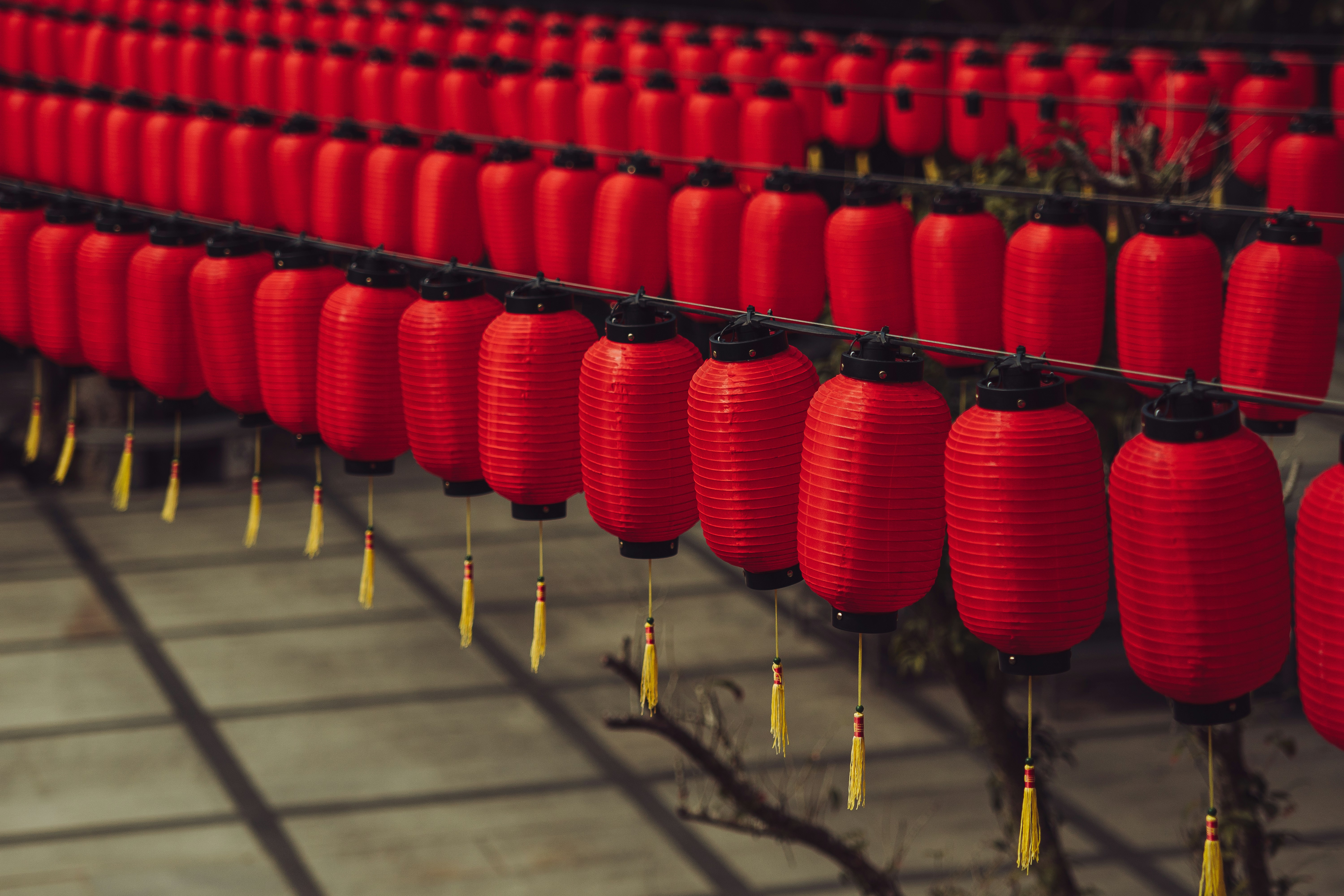 Symphony of Scarlet Lanterns