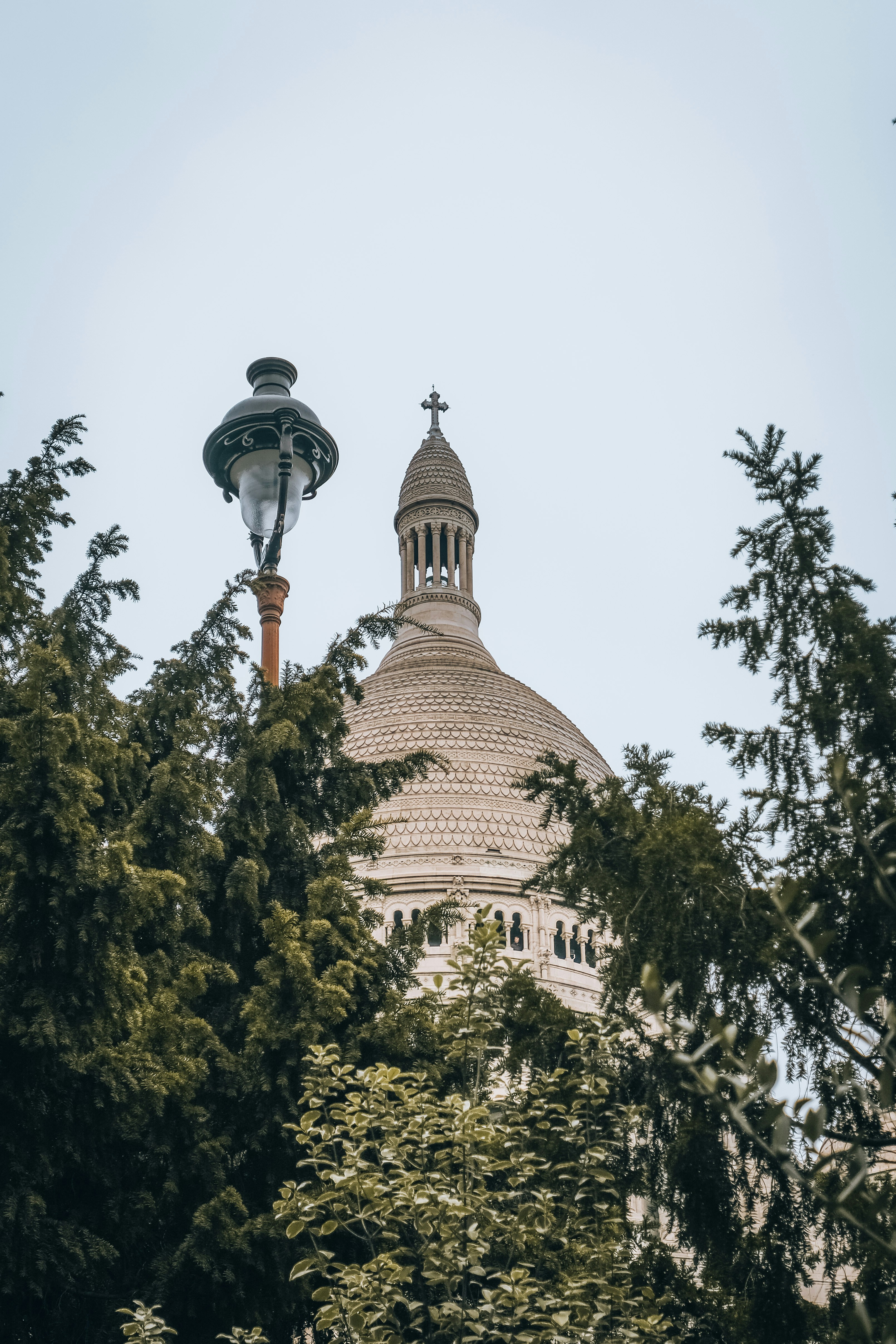 Dome Among Pines: a Quiet City Moment Framed by a Vintage Streetlamp