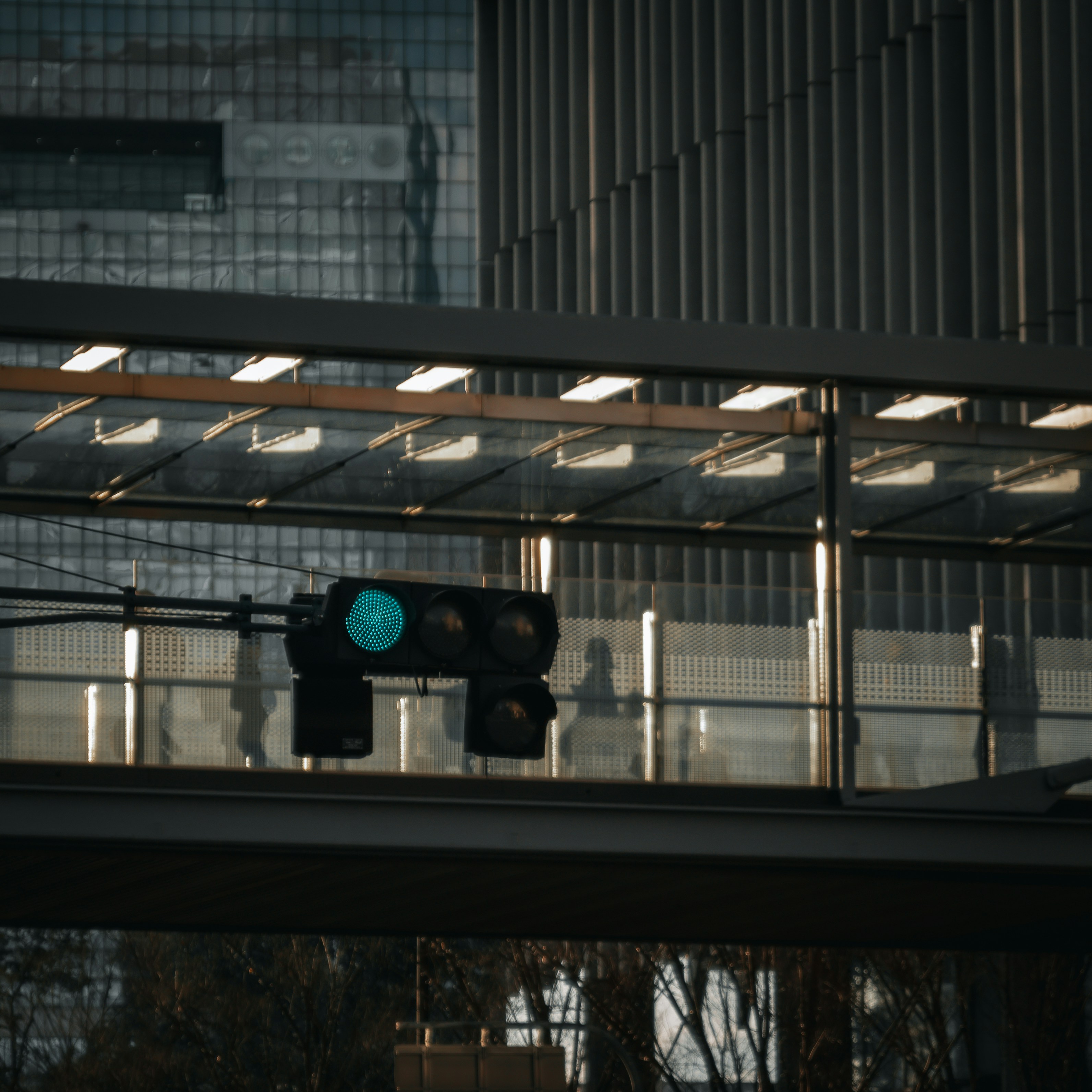 Emerald Signal Over Glass and Steel