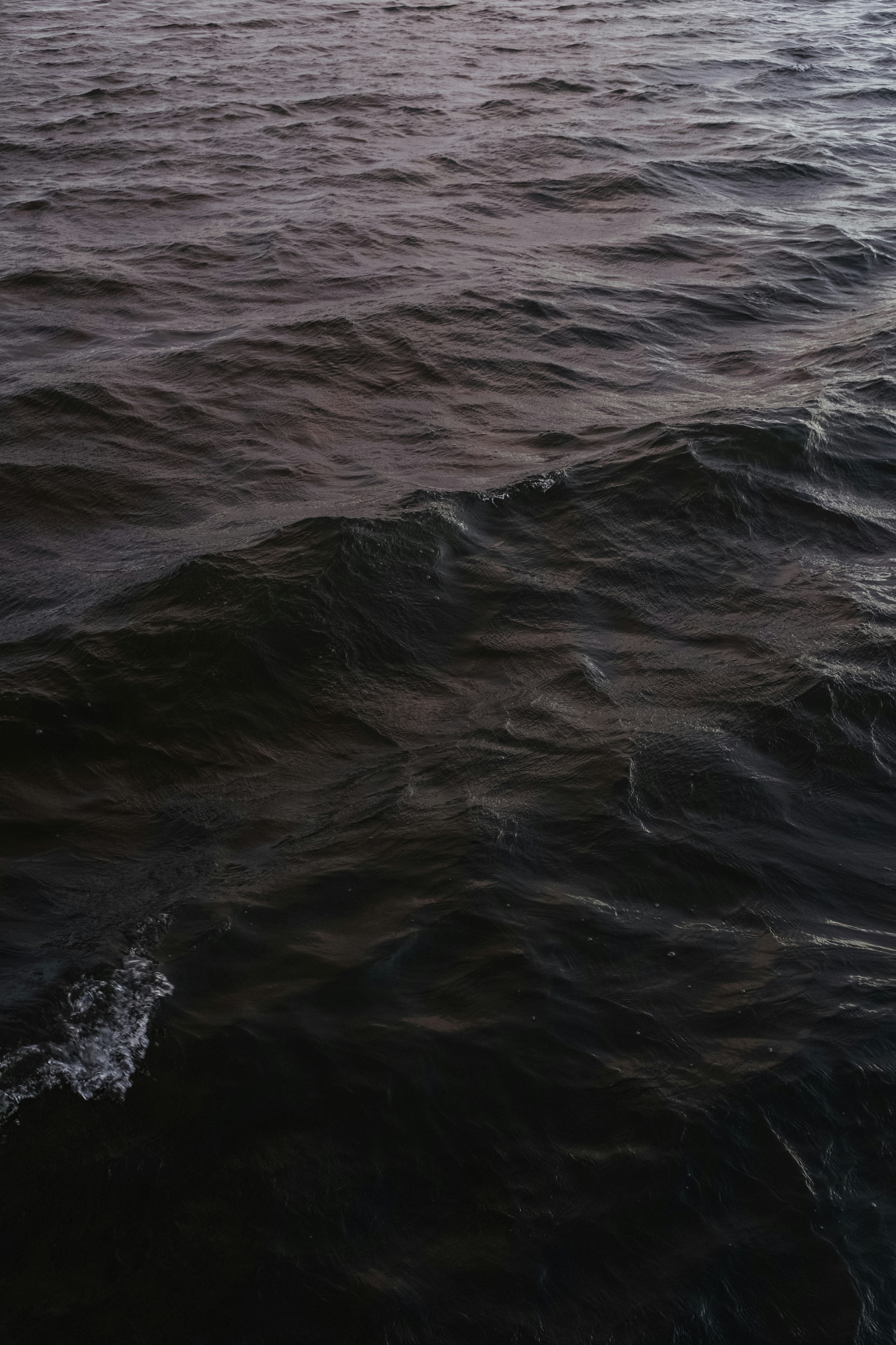 Photo by Ricardo Resende with Fujifilm X100F