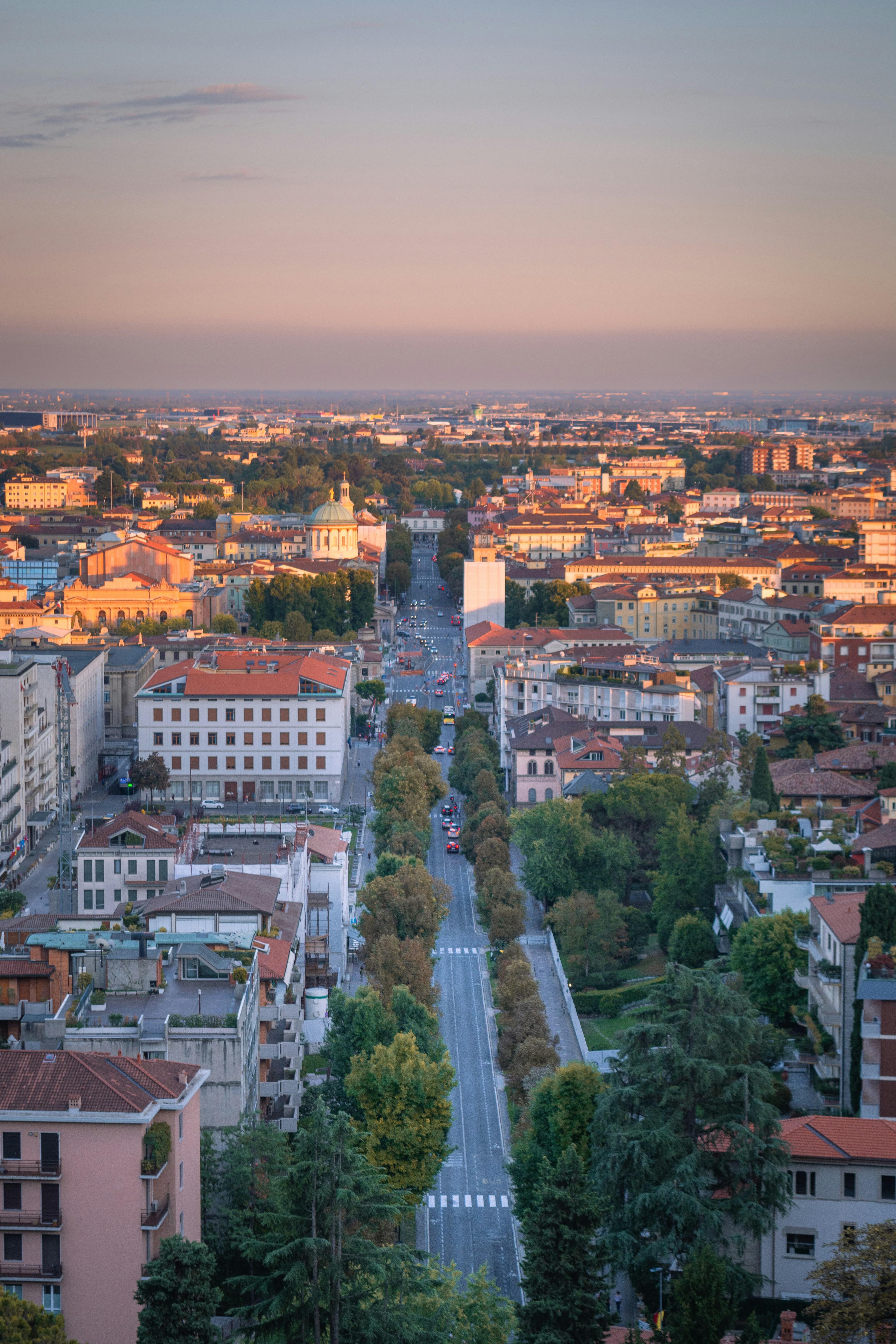 Aerial view of a cityscape at dusk, showcasing a tree-lined avenue flanked by buildings under a pastel sky.