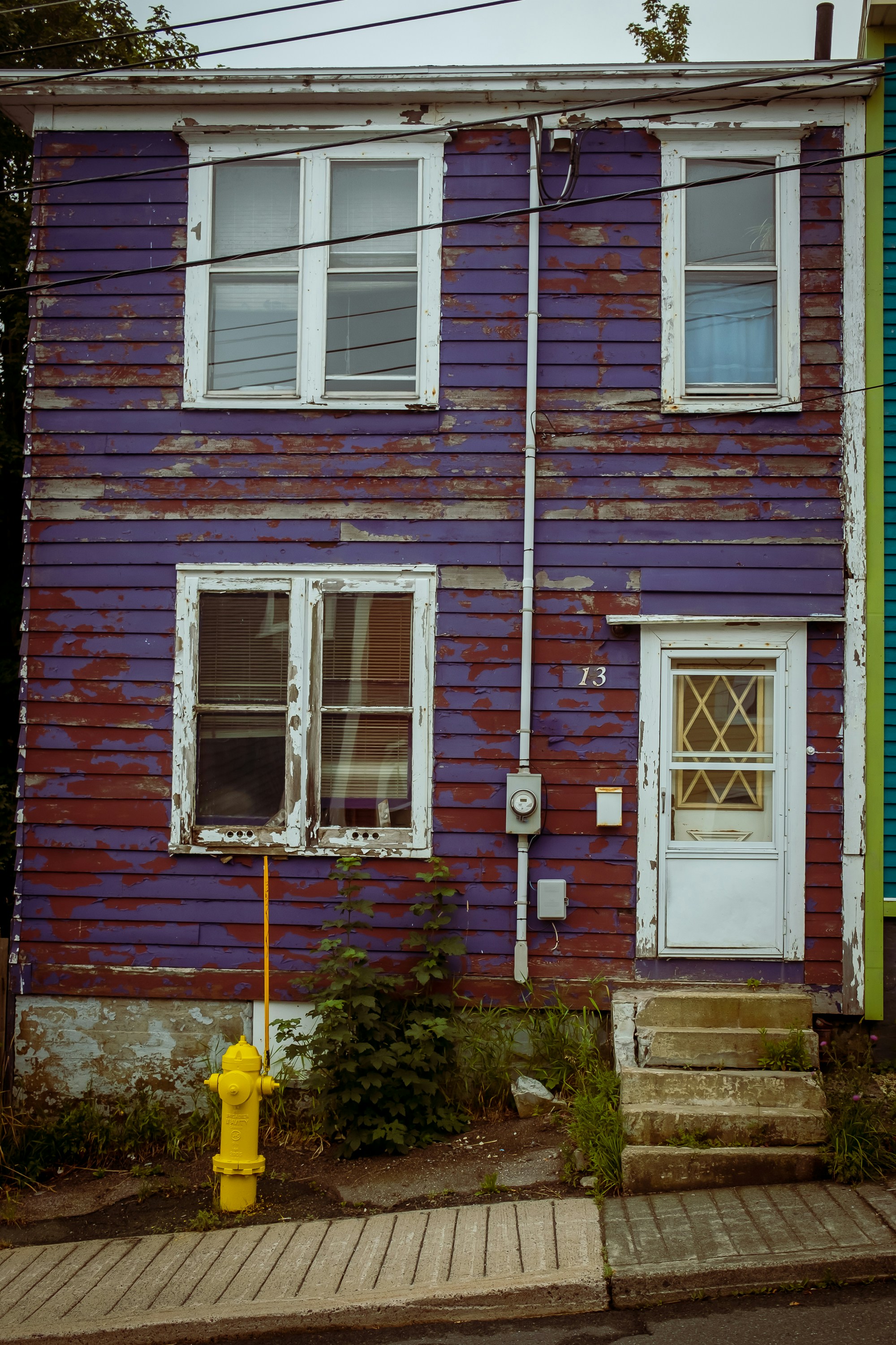 Paint Peels on Purple Siding: A Small Street Portrait with a Yellow Sentinel