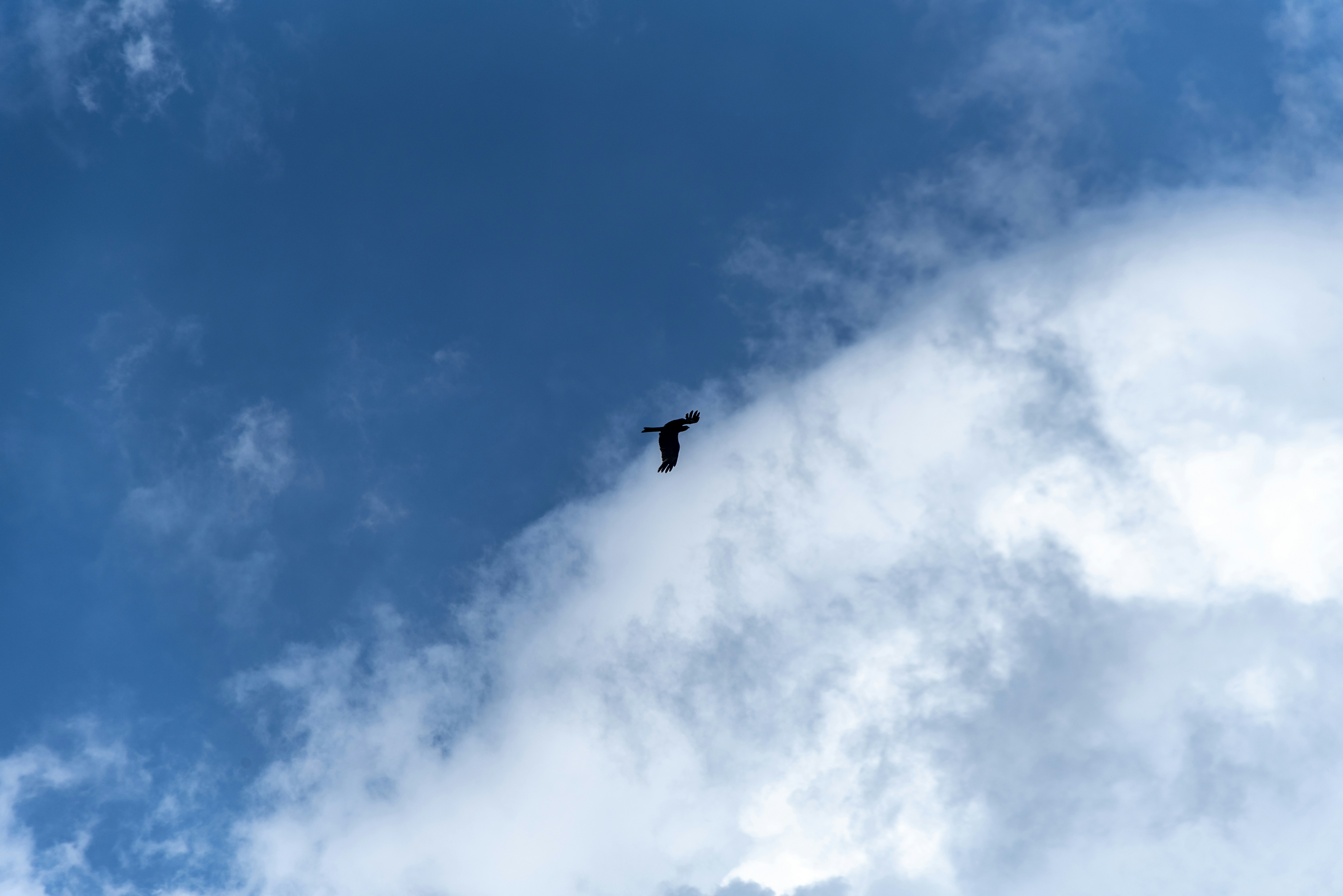 Photo by Devang Punia with Nikon D750