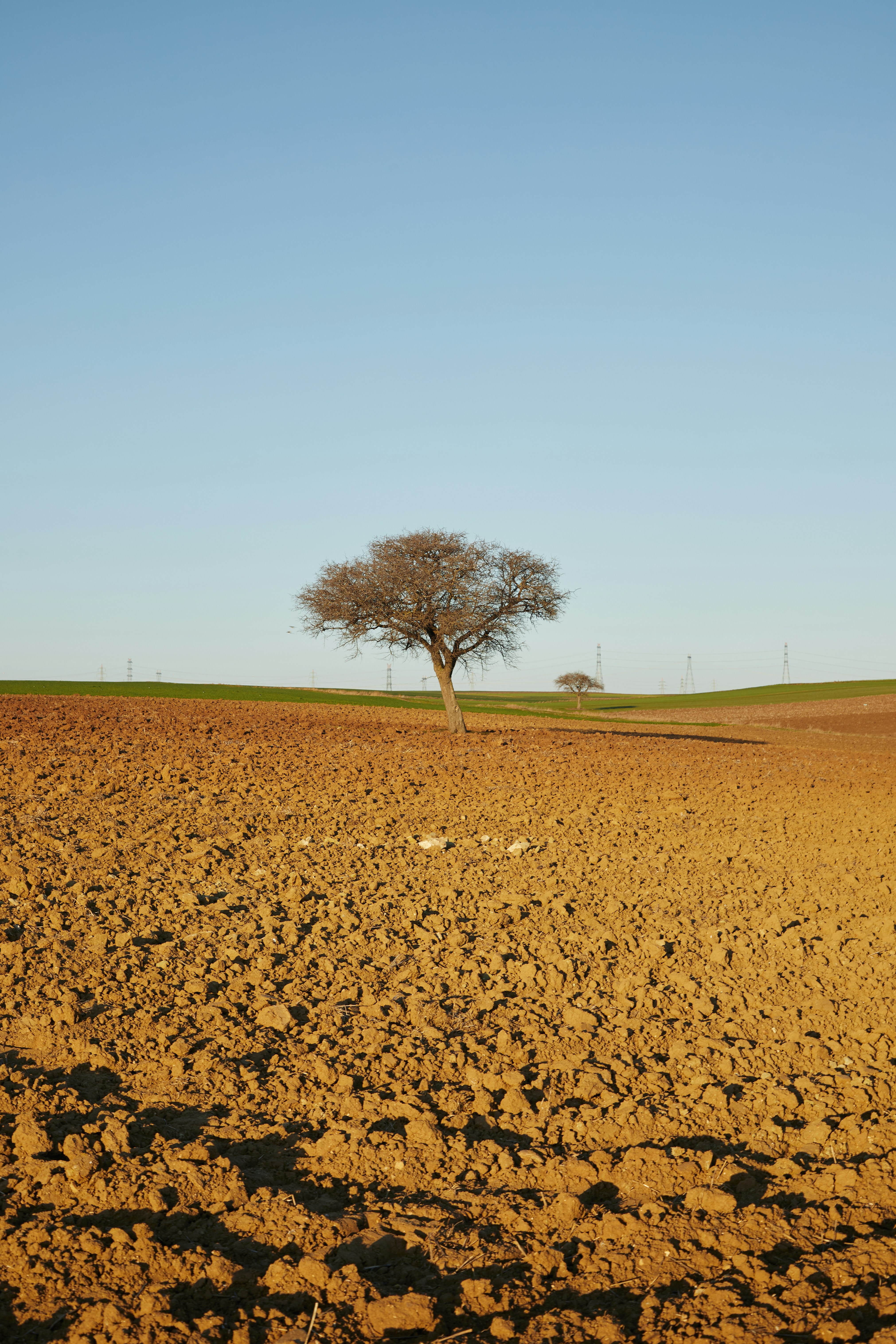 Photo by meriç tuna with Canon EOS 6D Mark II