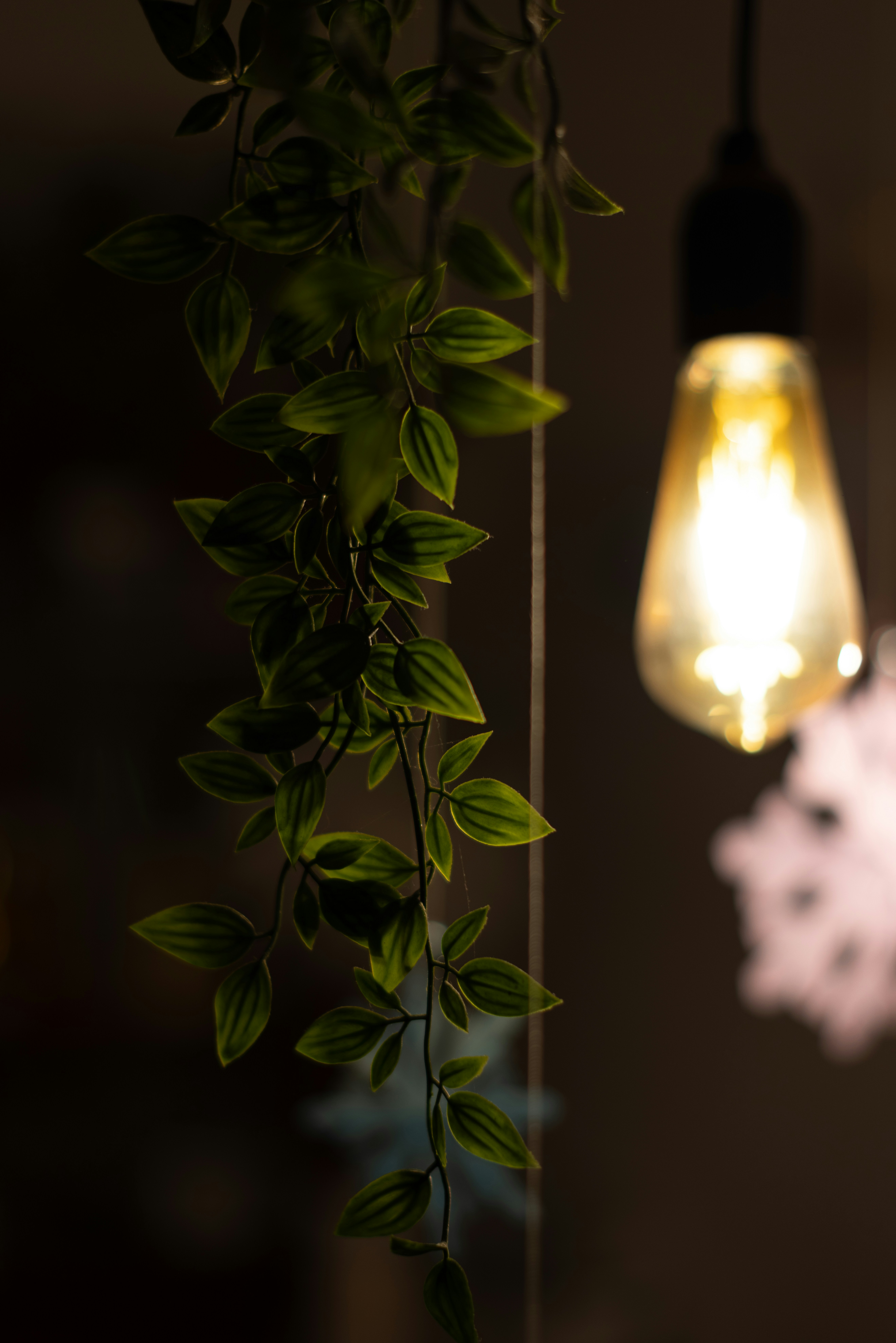 Vibrant green leaves drape elegantly beside a glowing light bulb, creating a warm and inviting atmosphere. The background features soft, blurred shapes that enhance the overall mood.
