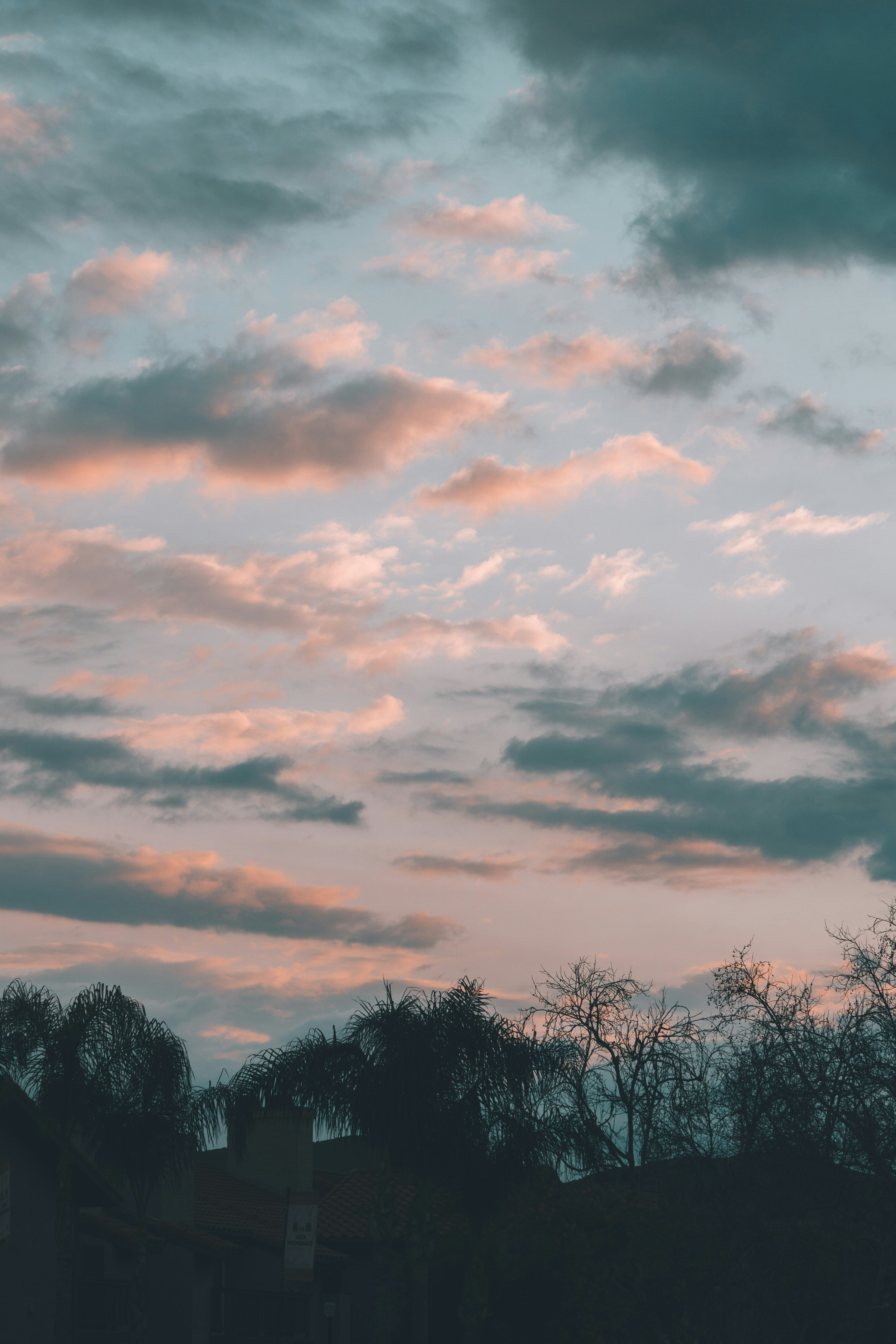 A plane flying through a cloudy sky with trees in the foreground photo ...