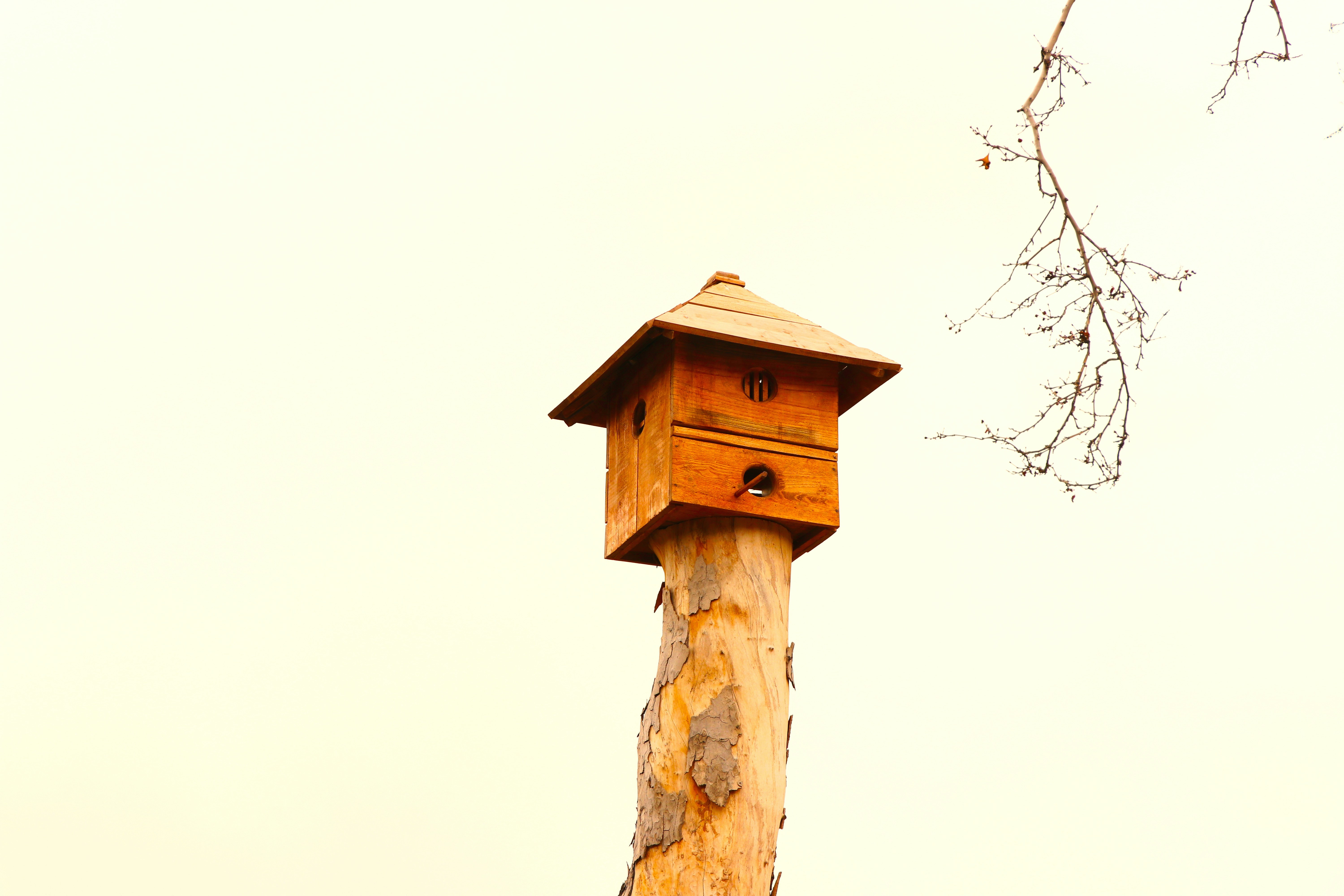 External perception: day, cold weather, cut tree, warm bird house