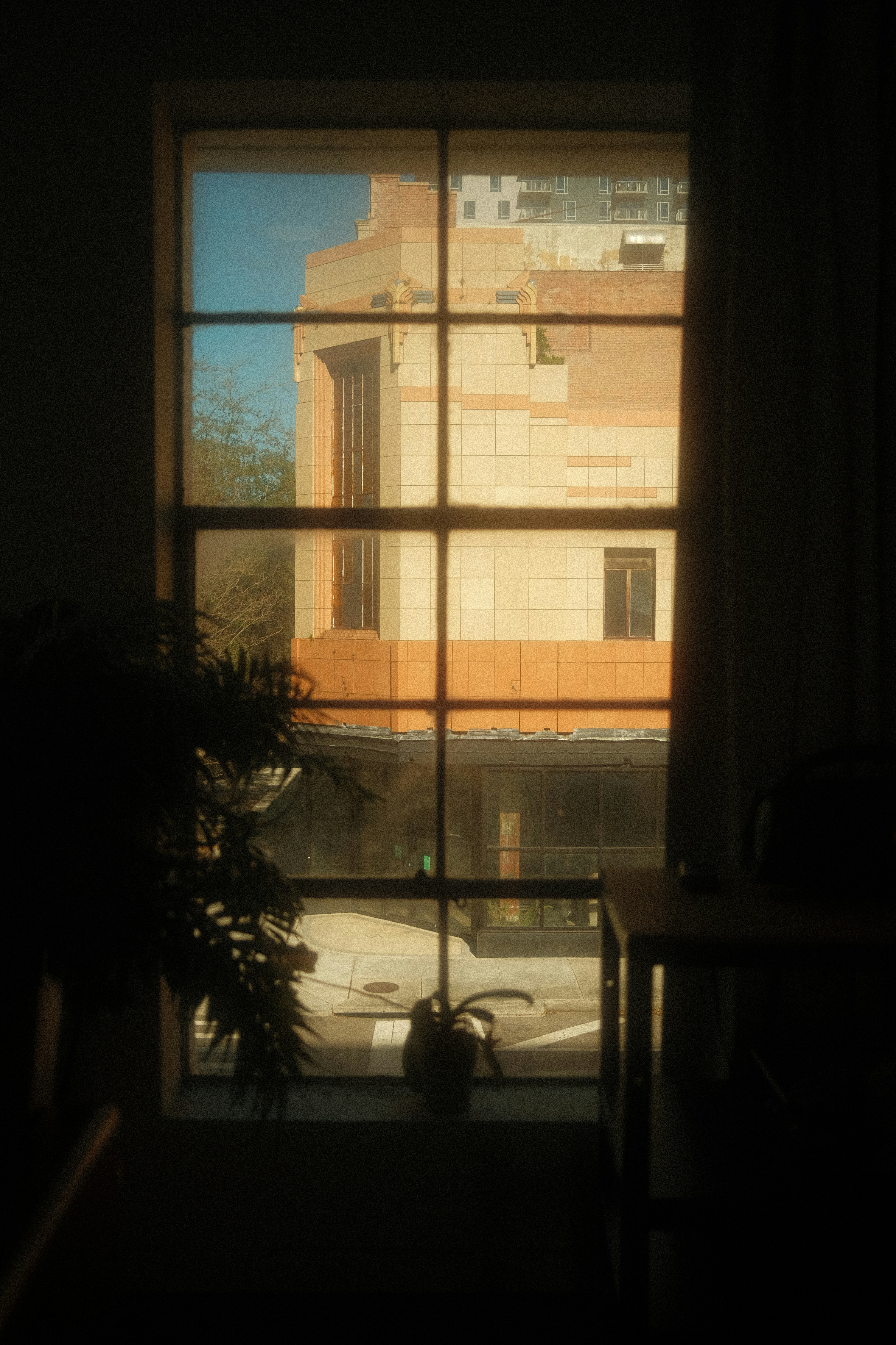 Photo by Marissa Lewis with Fujifilm X100V