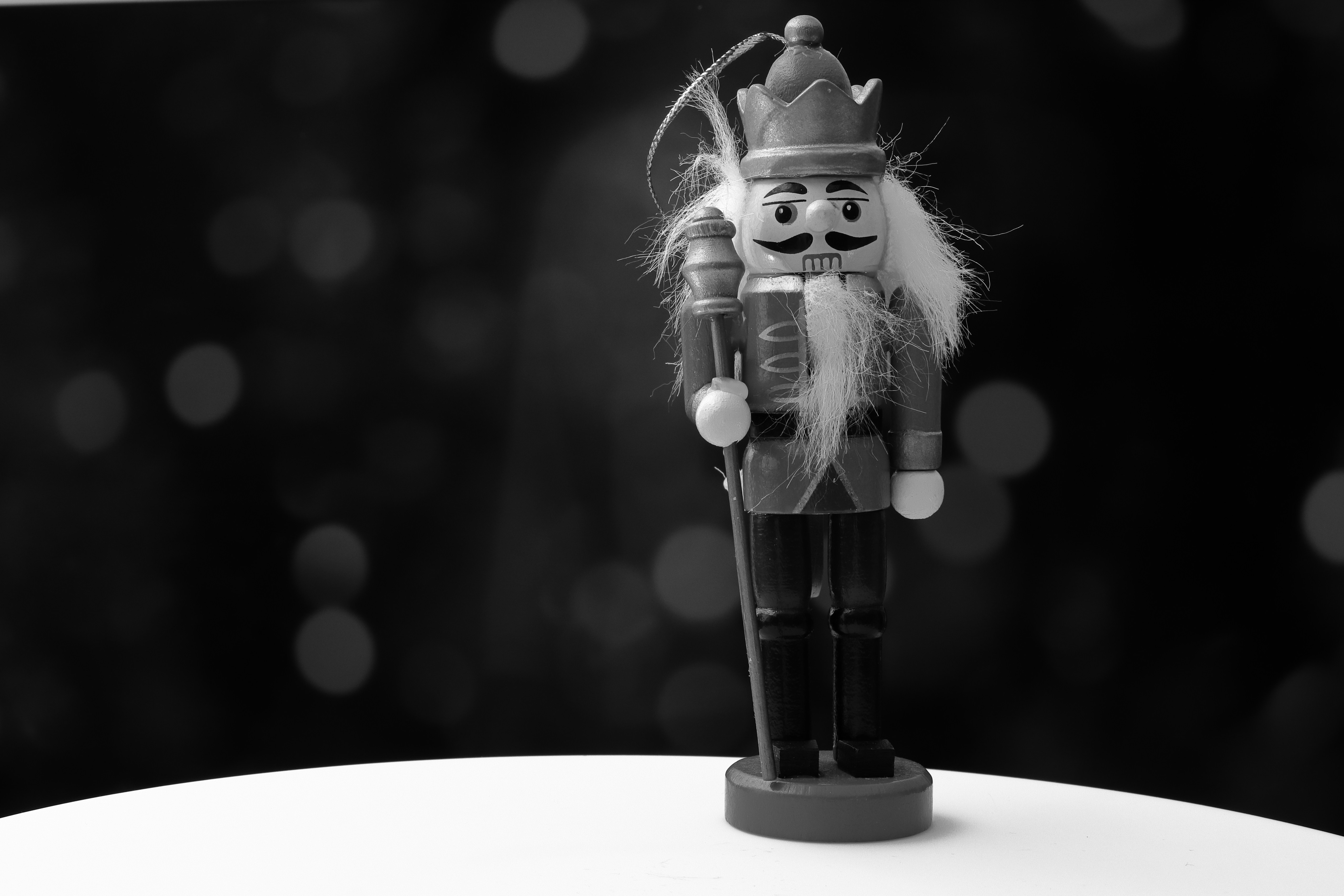 Regal Toy Guard in Monochrome Spotlight