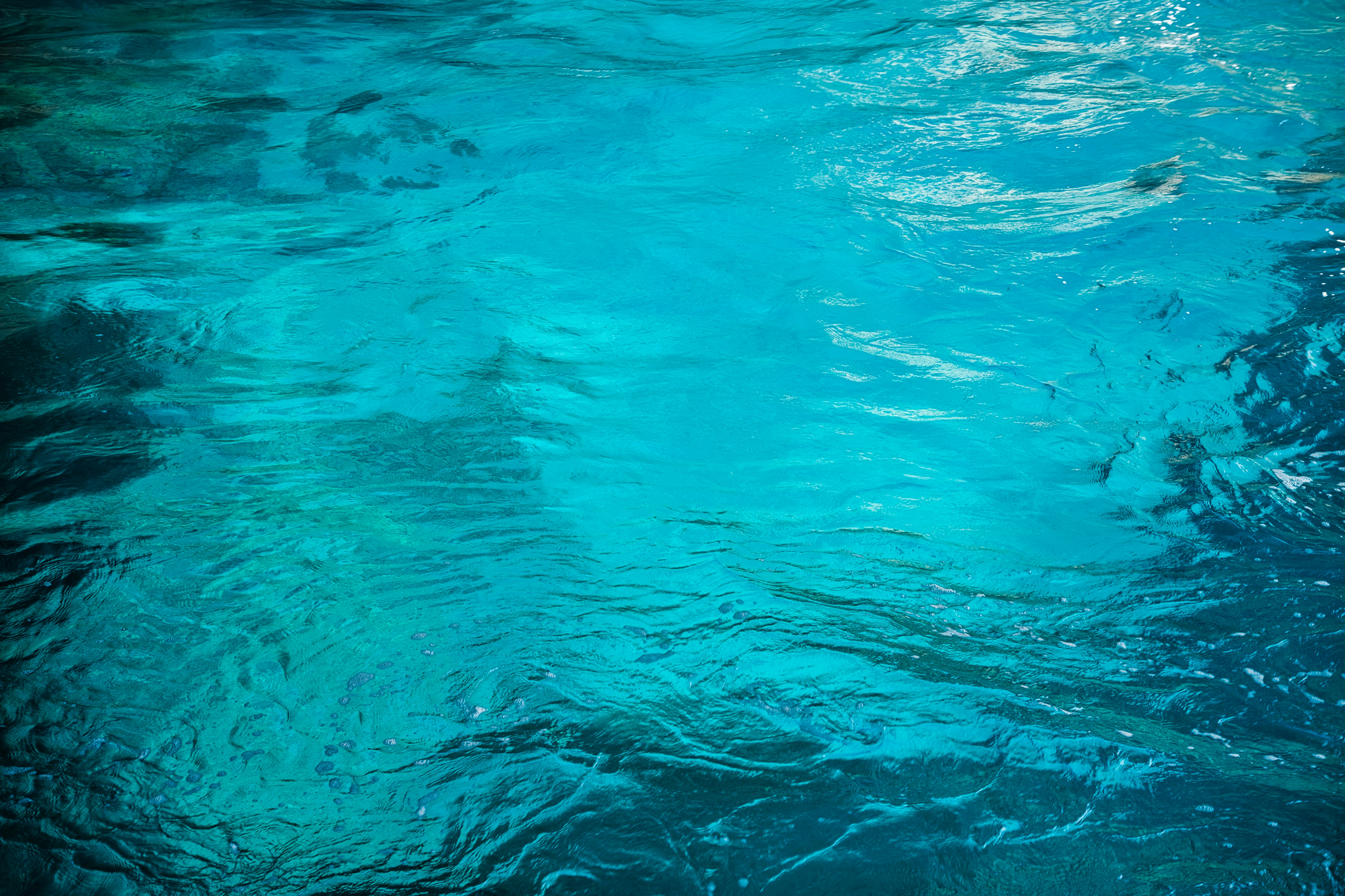 Sample photo from Sigma fp