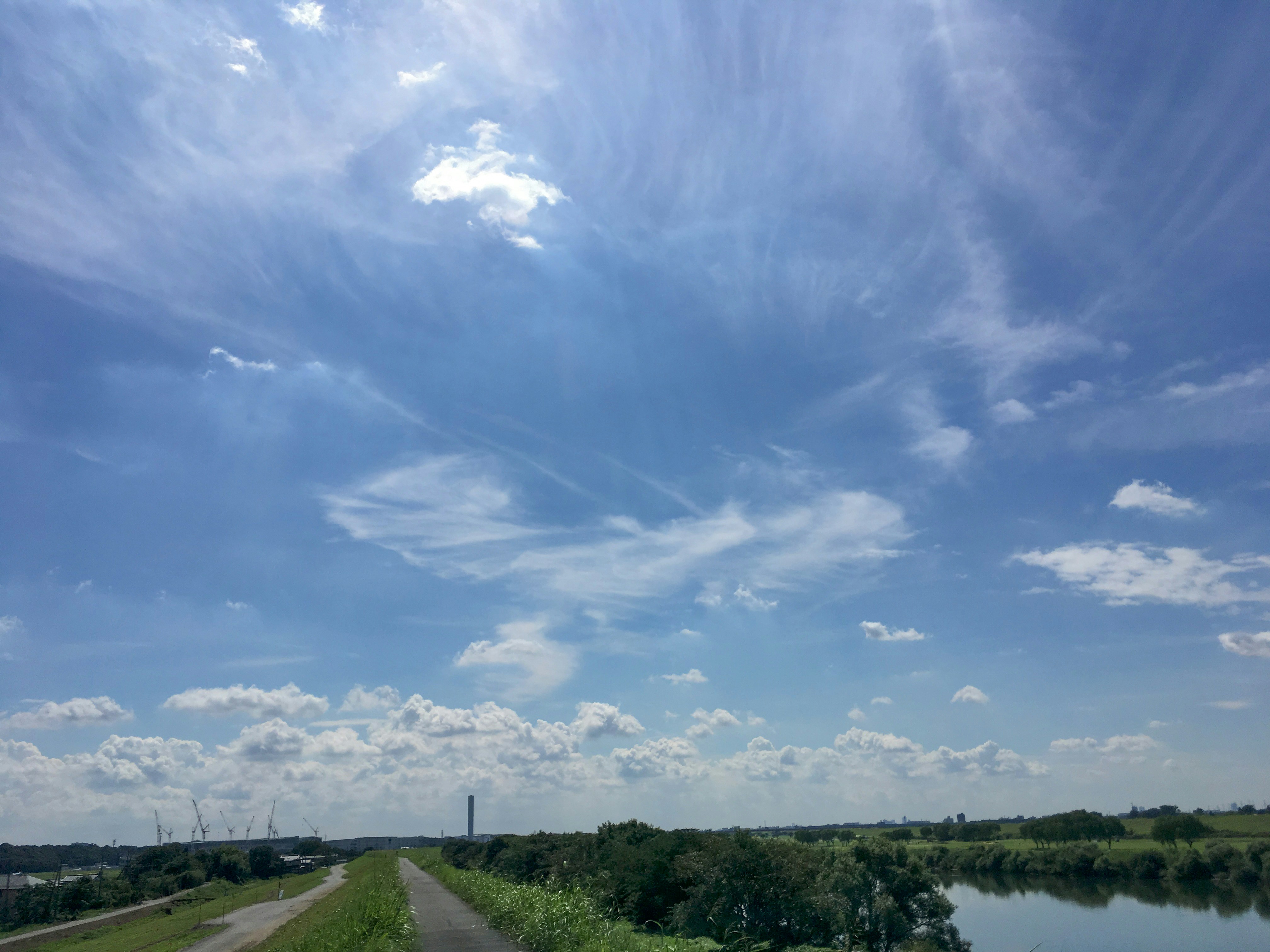 Asao Tani (@asaotani) | Unsplash Photo Community