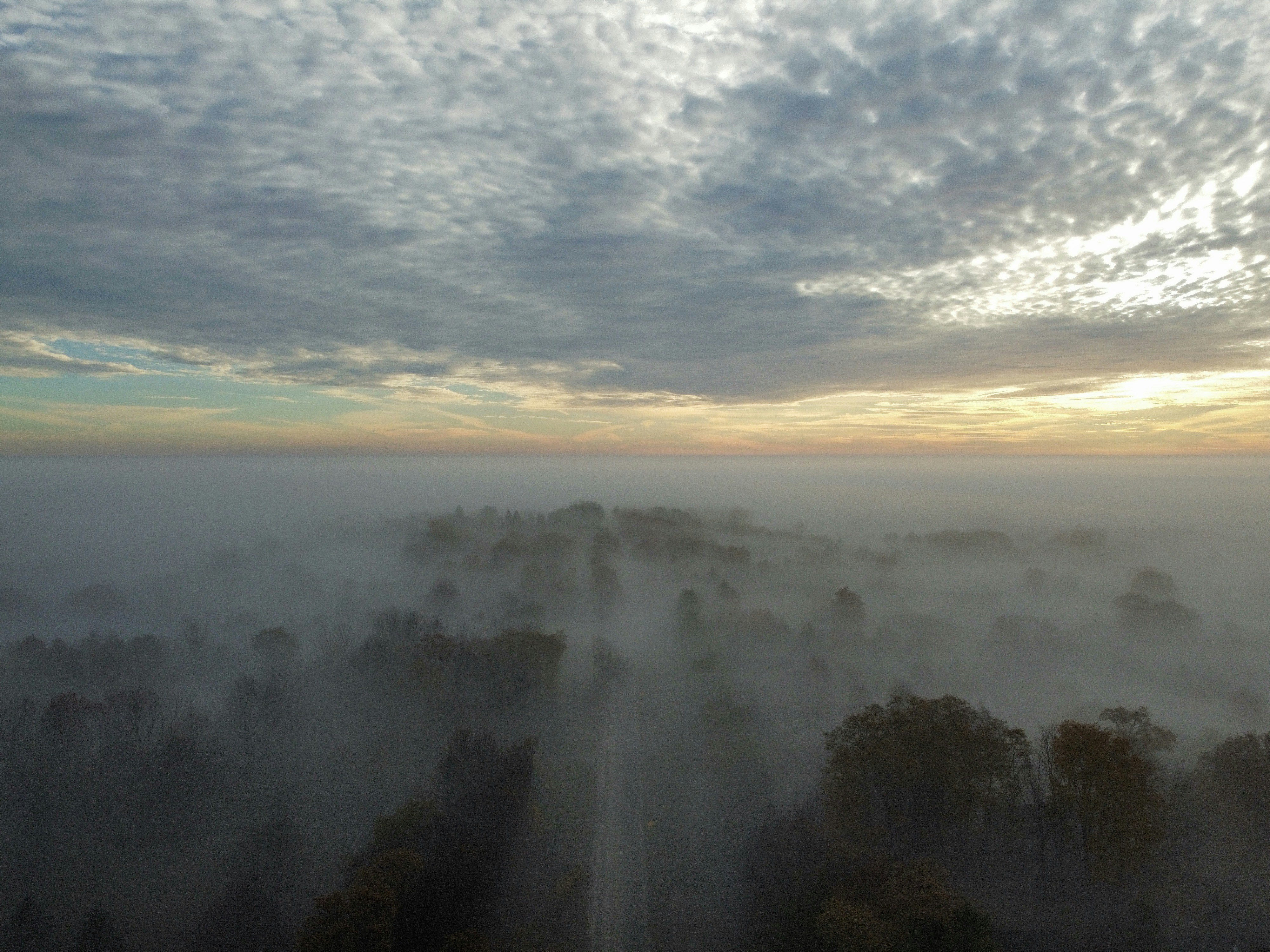 Kenny Elshoff (@reallybadnews) | Komunitas Foto Unsplash