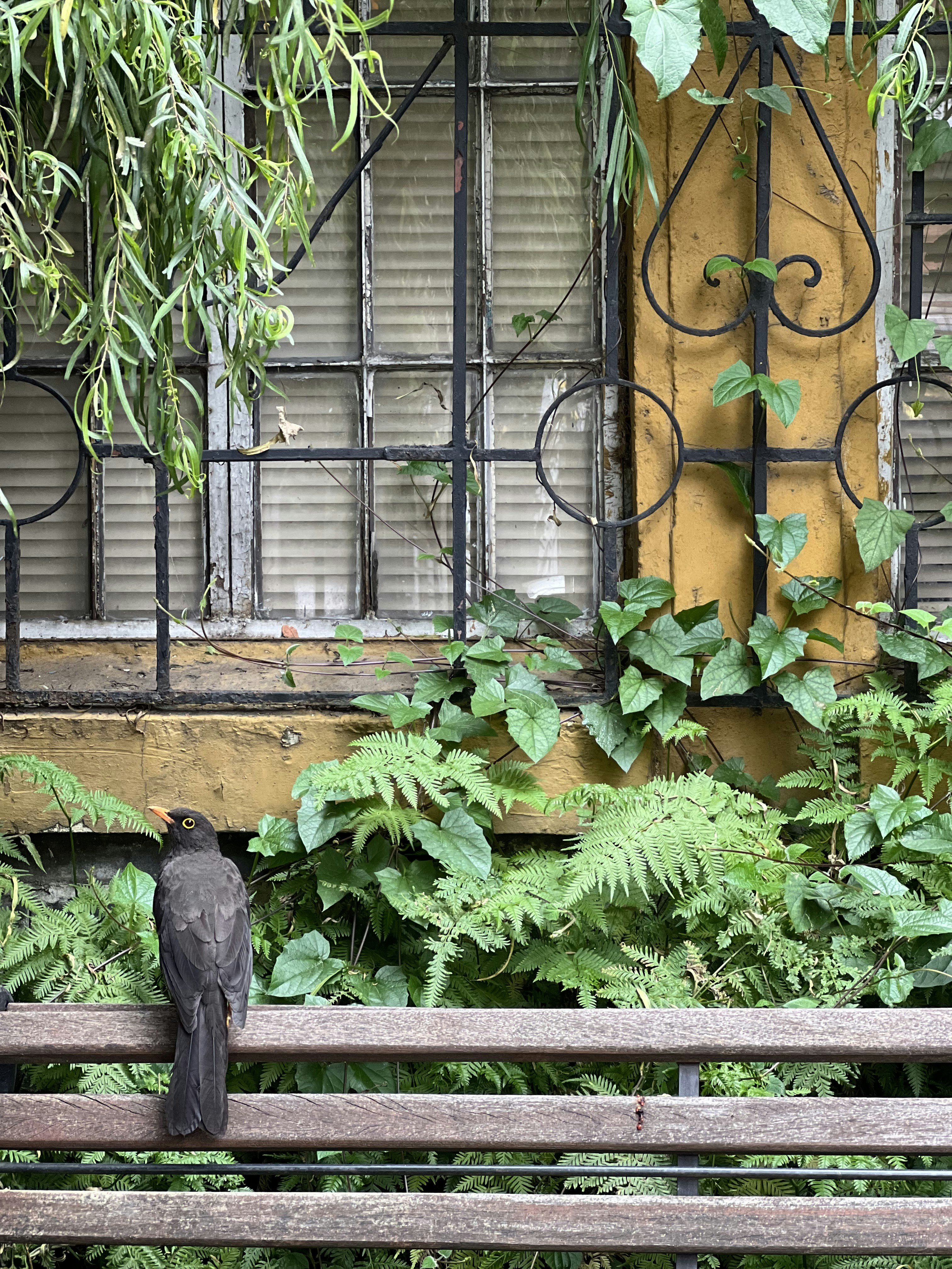 a bird sitting on a bench in front of a window