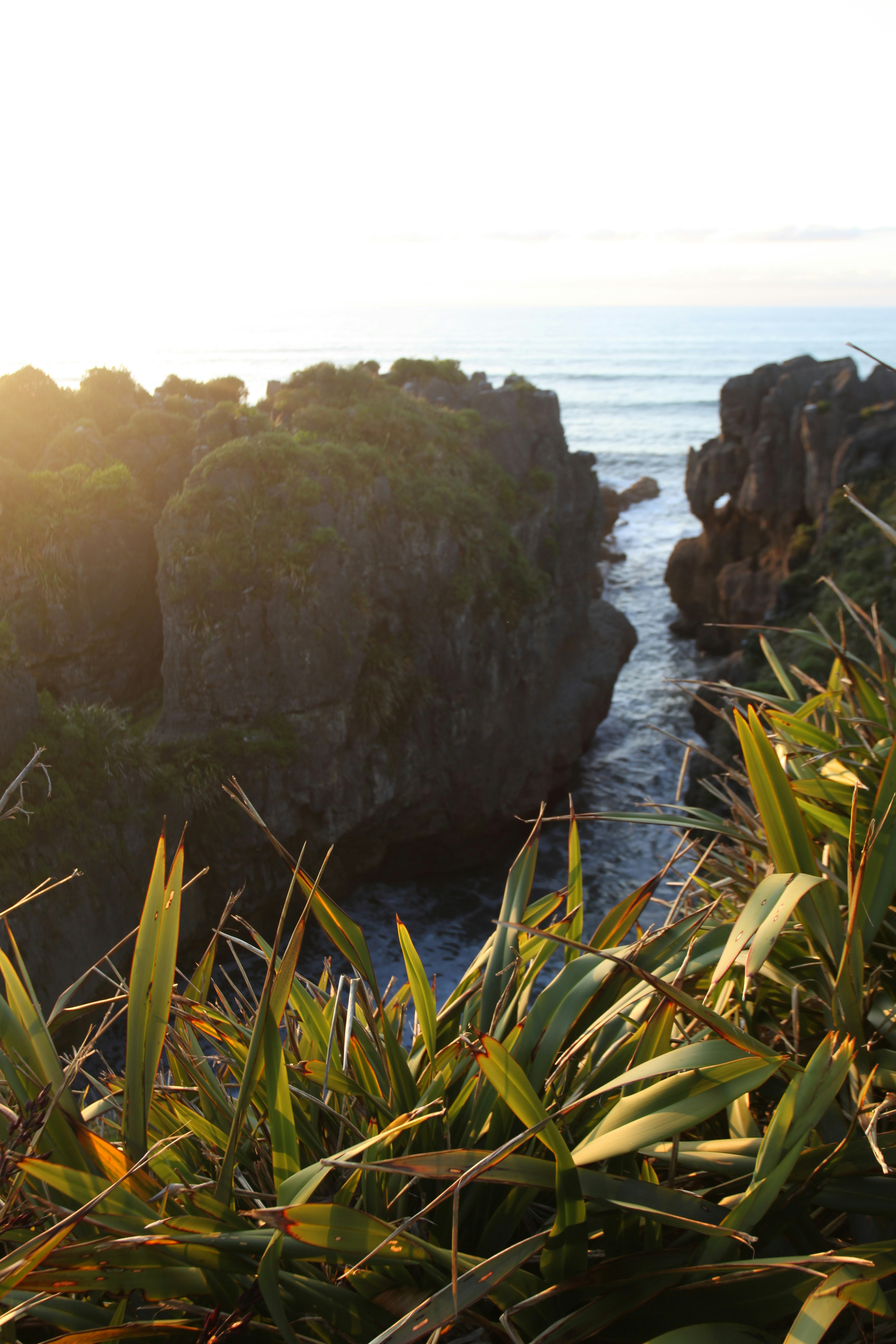 Sunlit Rift Between Sea Cliffs