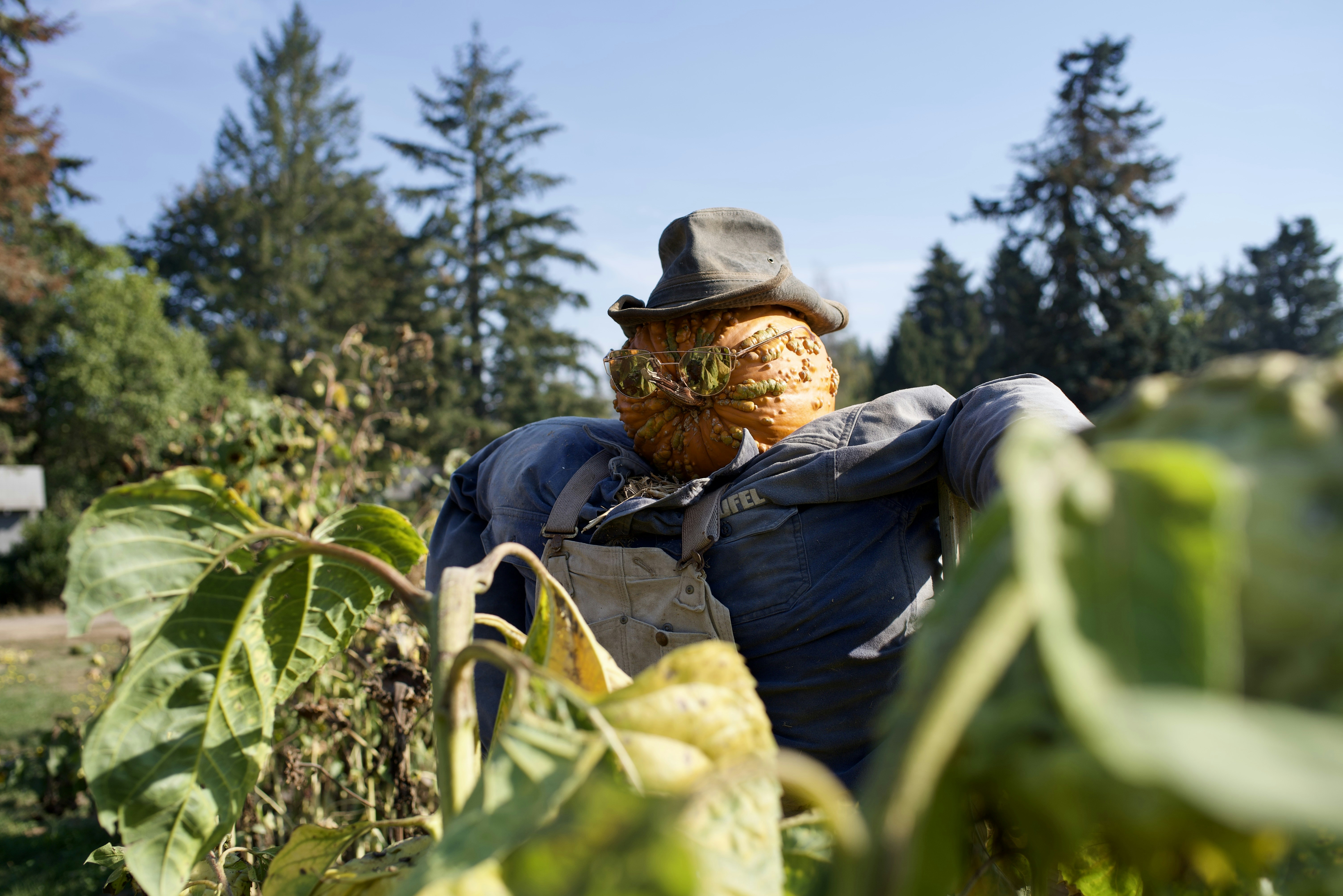 The Guardian of the Harvest