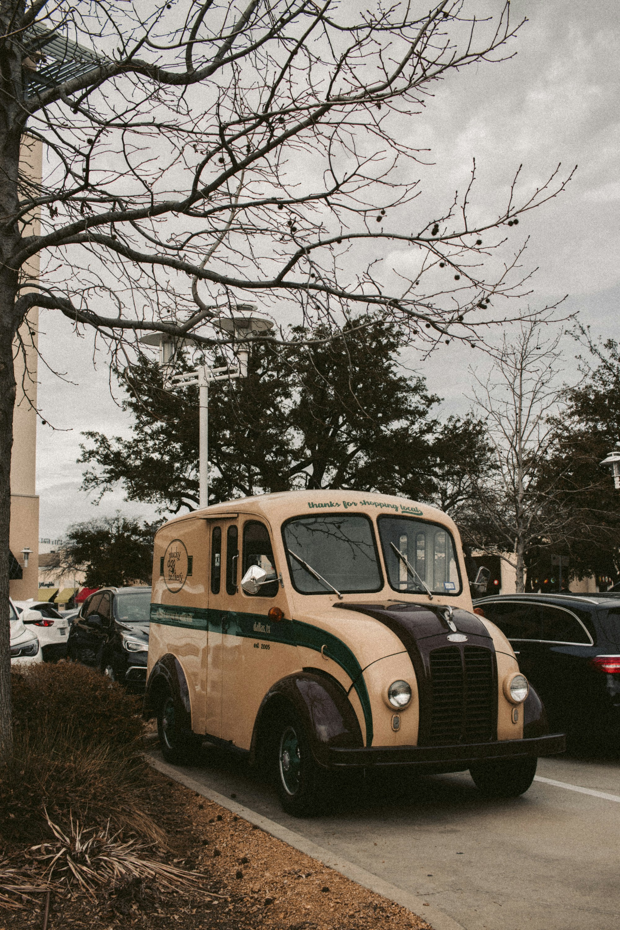 Cream-and-Green Vintage Bus Anchors a Quiet Parking Lot Under Bare Branches