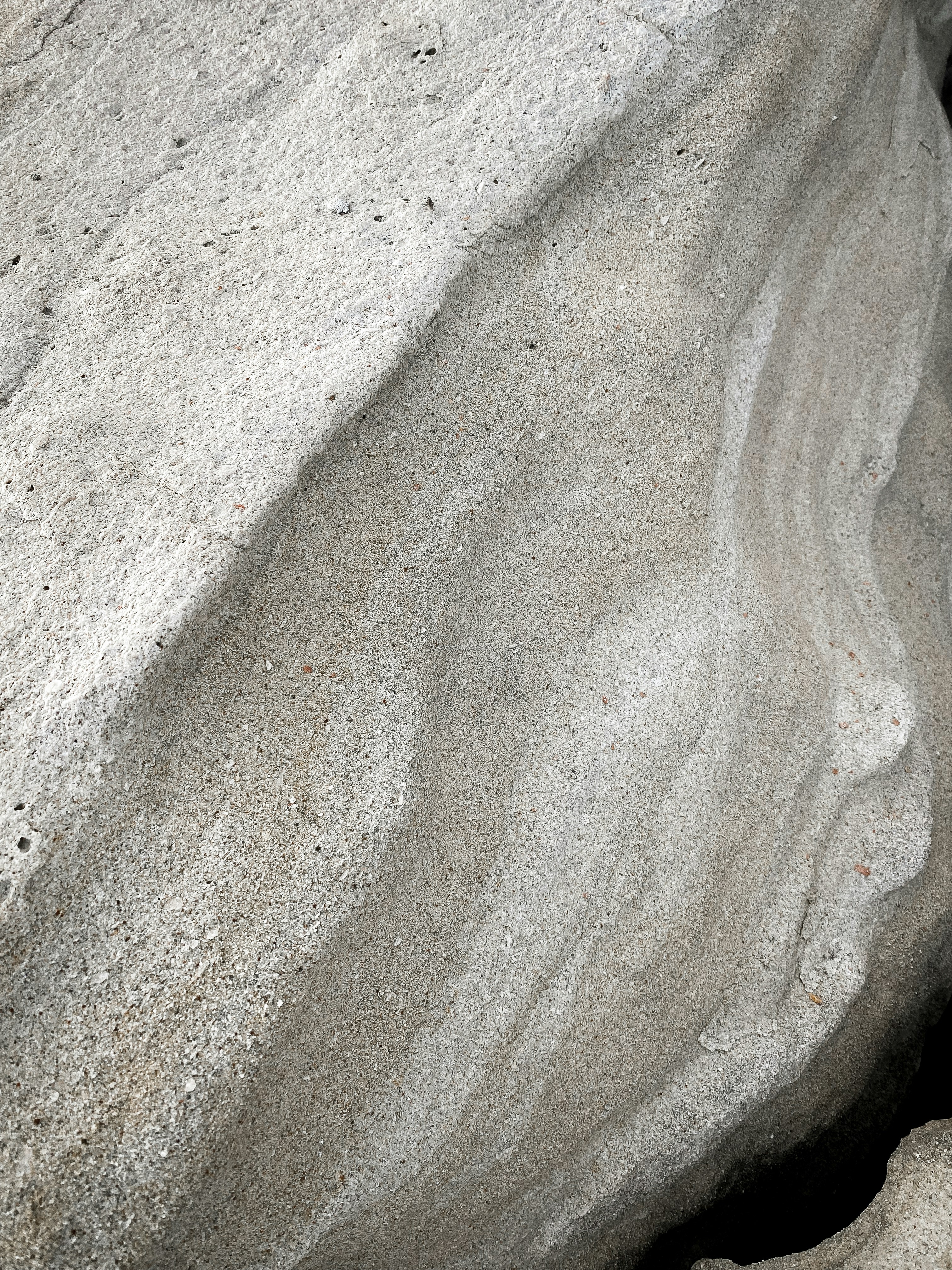 Un gros plan d’un rocher avec un oiseau perché dessus photo – Photo ...