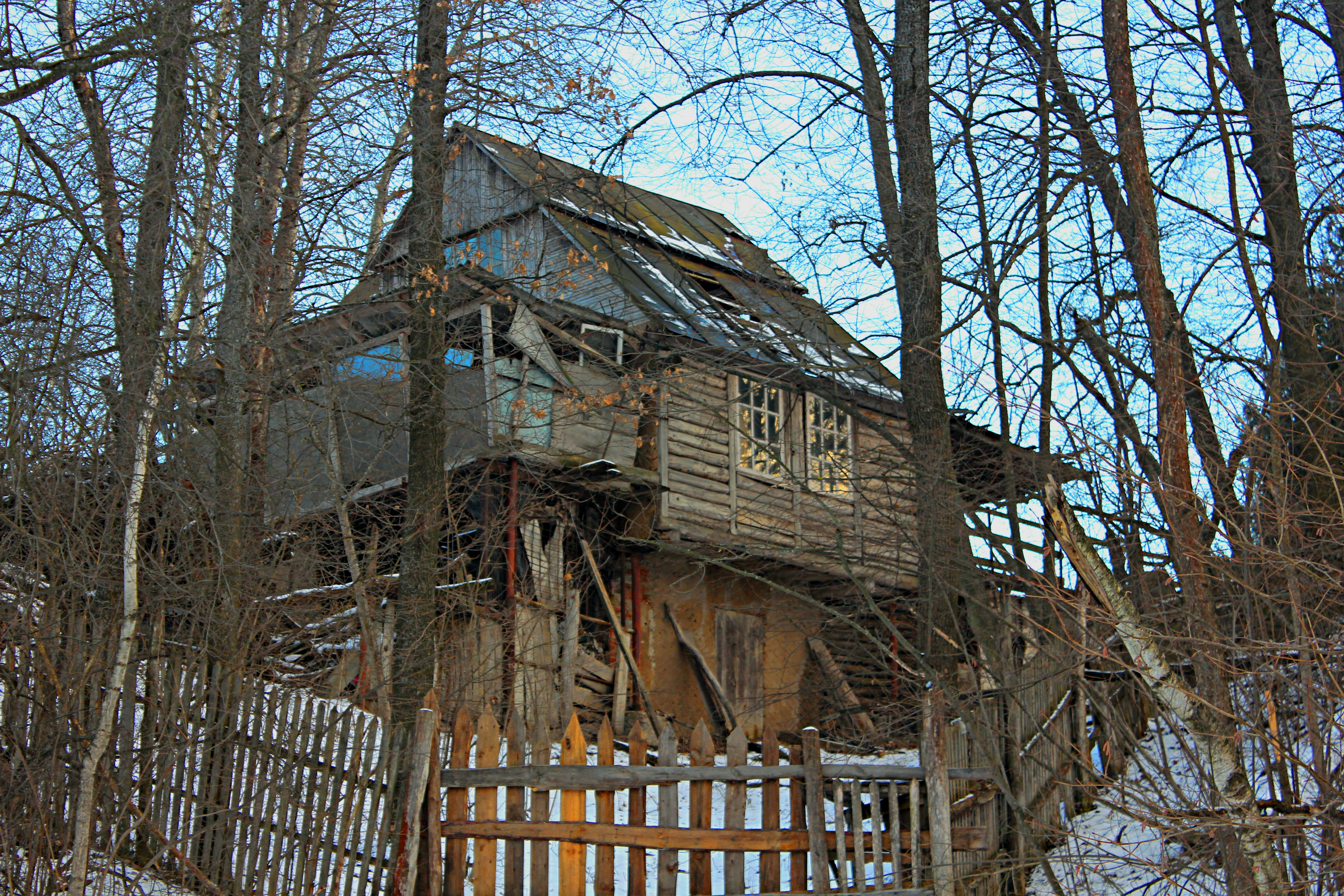 Photo by Полина Паршина with Canon EOS 550D