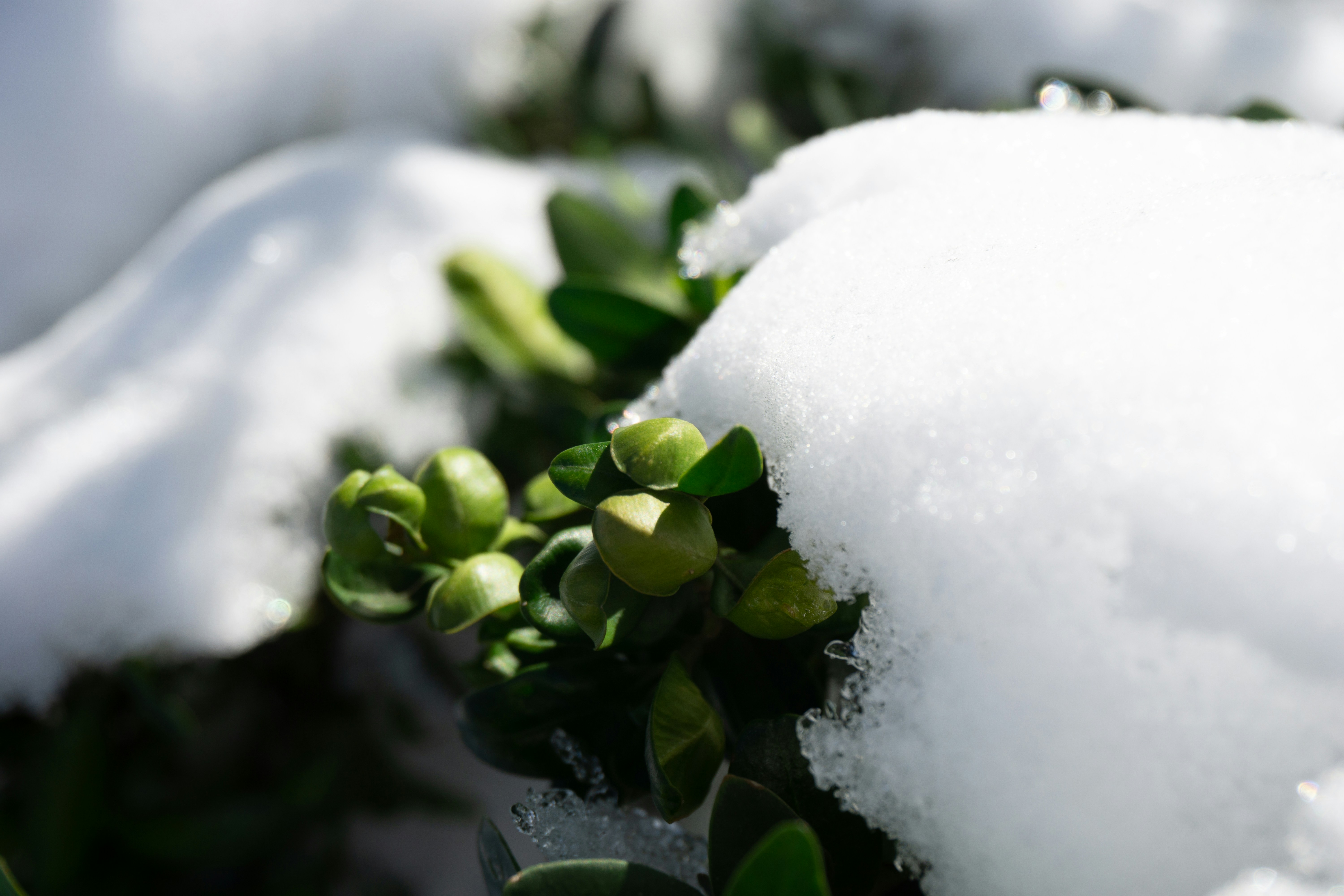 Photo by Mykyta Kondratov with Sony Alpha 6000