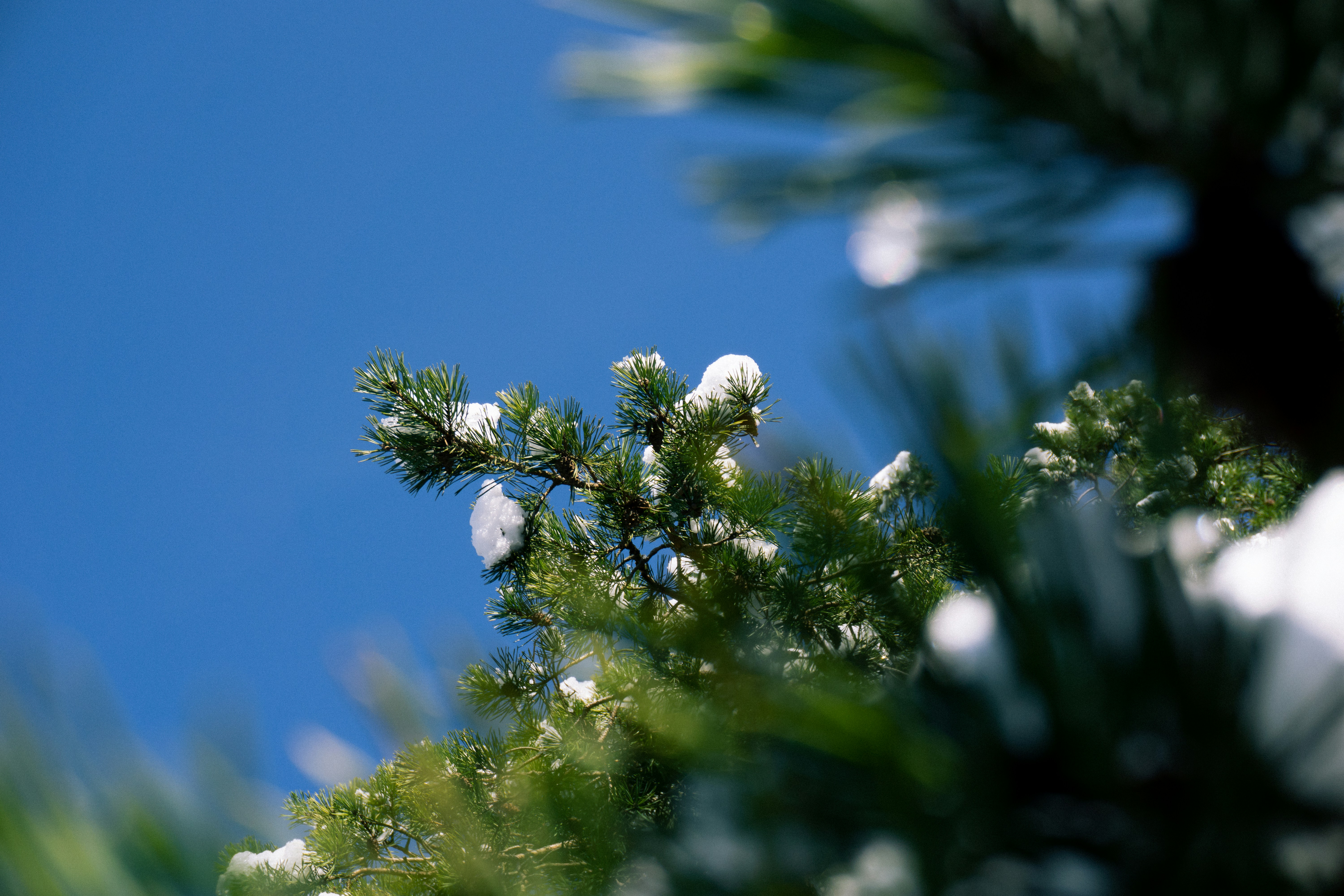 Photo by Mykyta Kondratov with Sony Alpha 6000