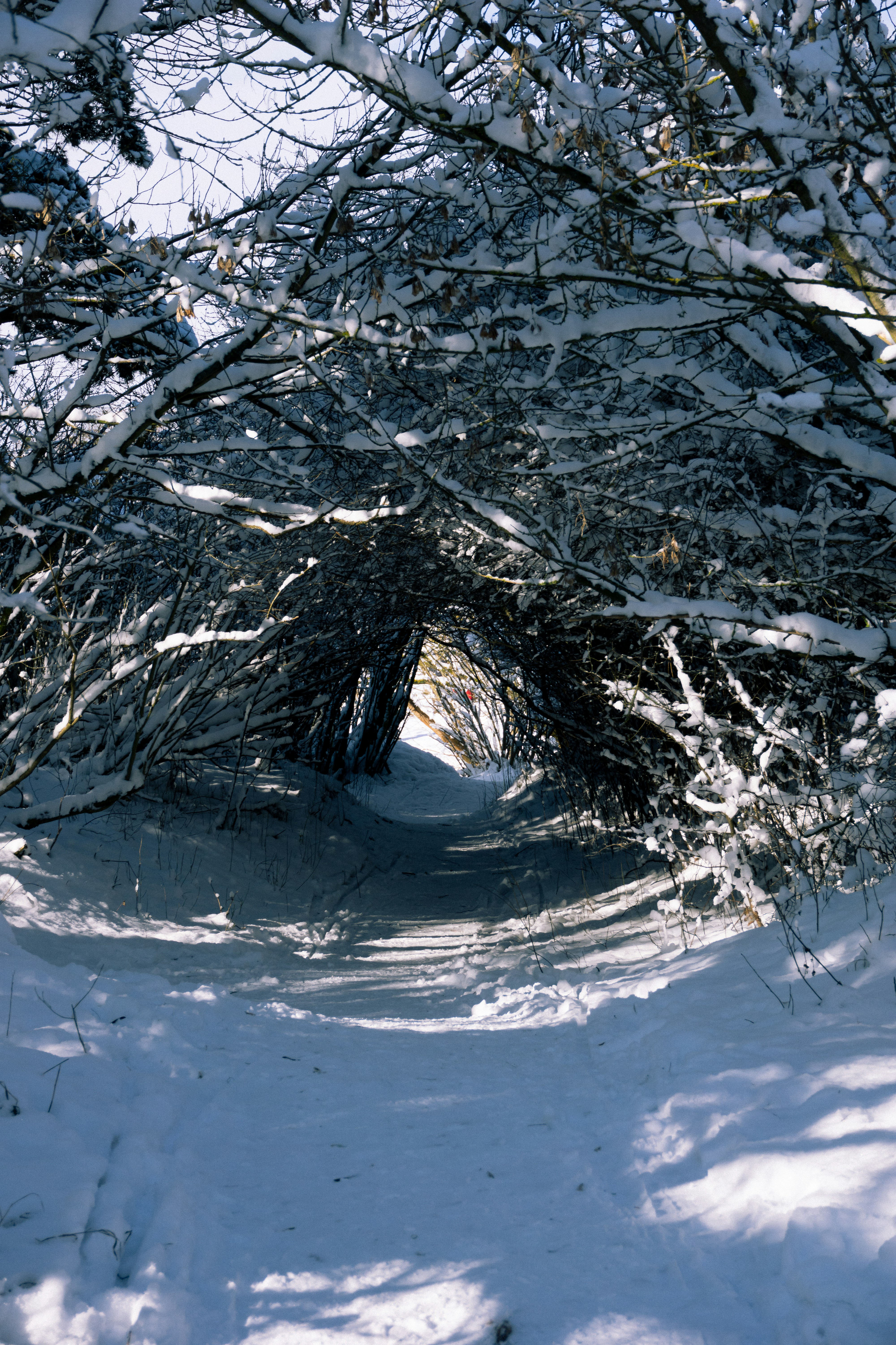 Frost-Arched Corridor: Sunlight Pierces a Snowbound Tunnel