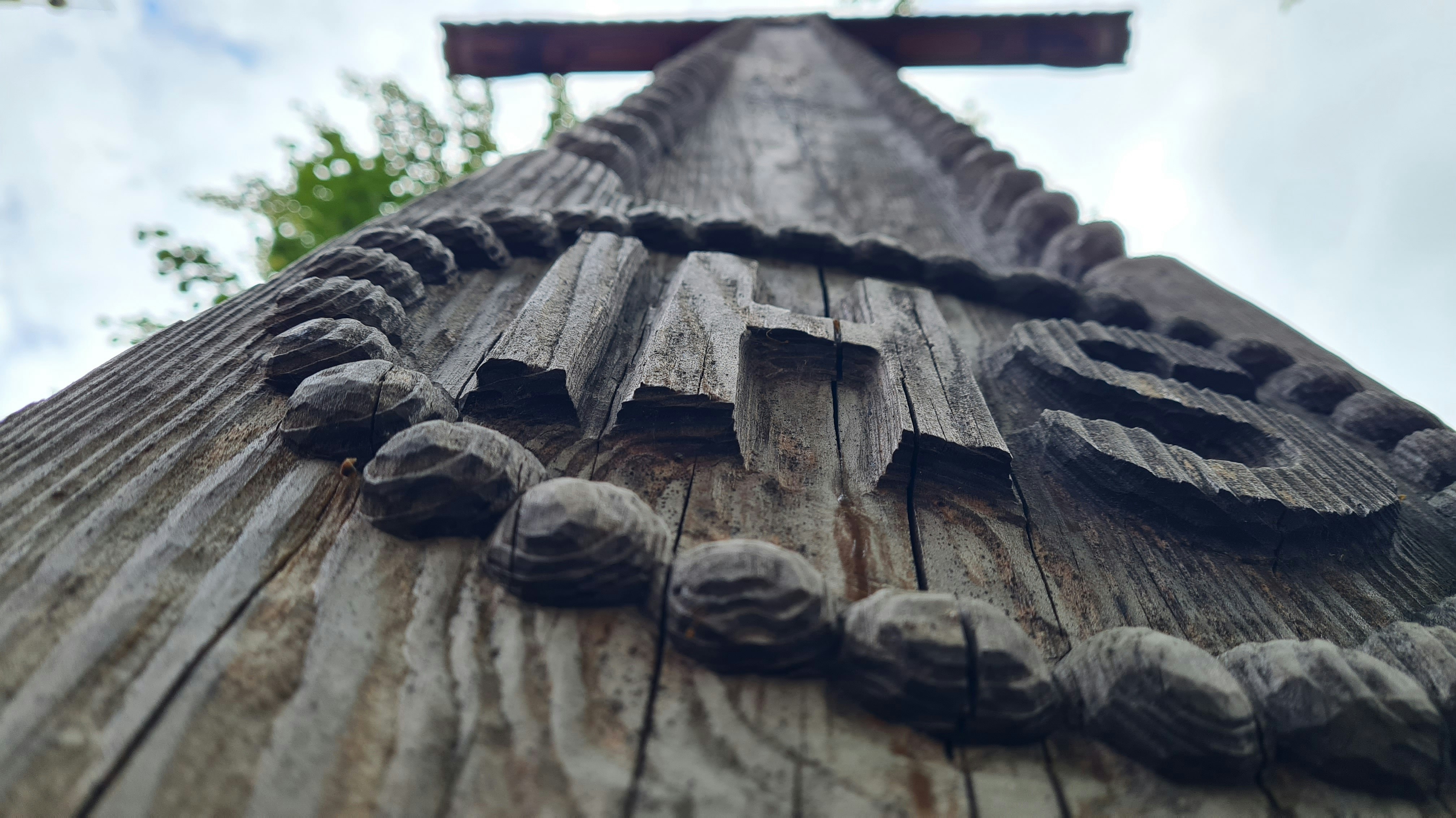 Sample photo from Samsung Galaxy Note20