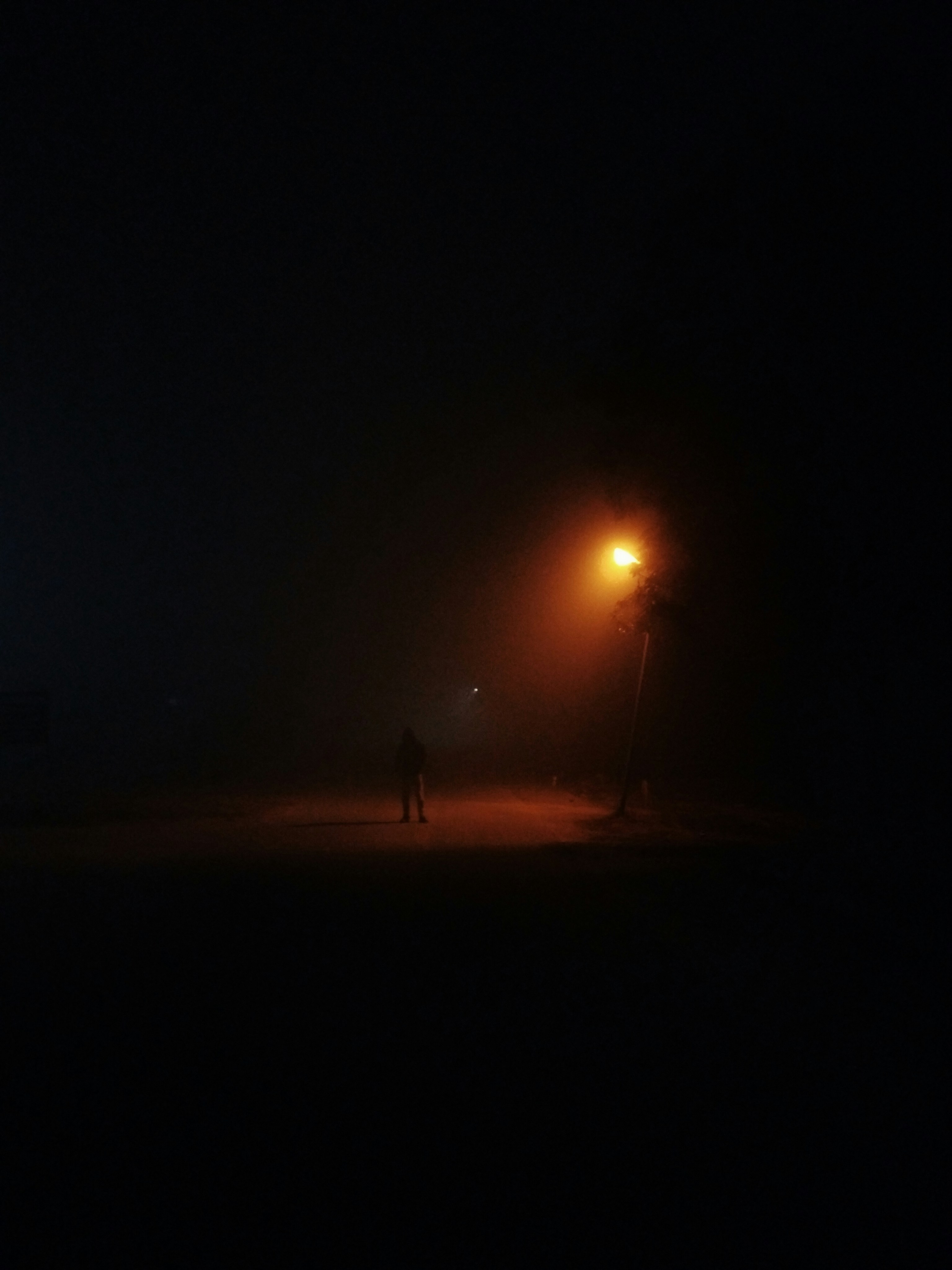 A person standing under a street light at night photo – Free Uttar ...