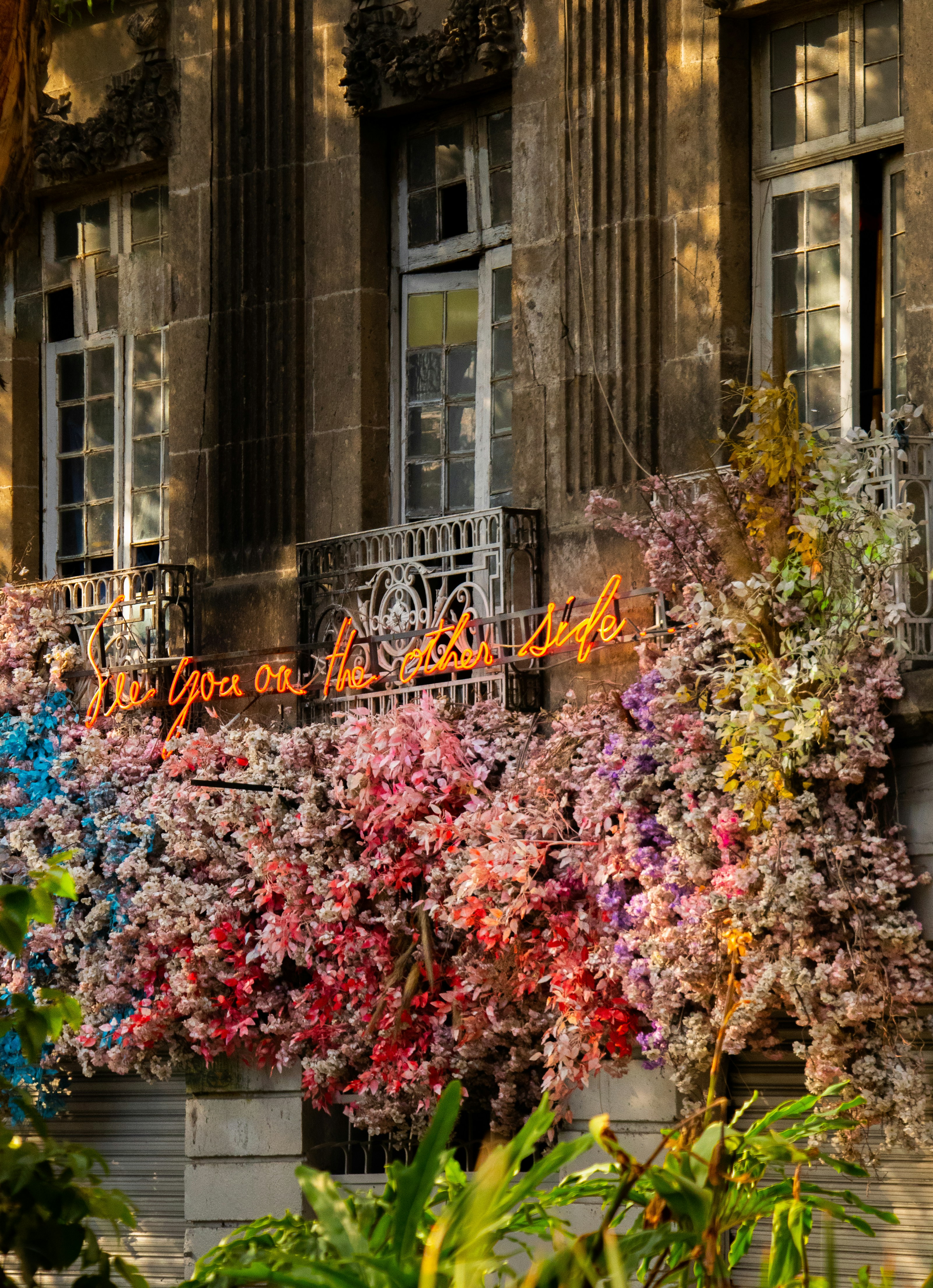 Neon Bloom on a City Façade