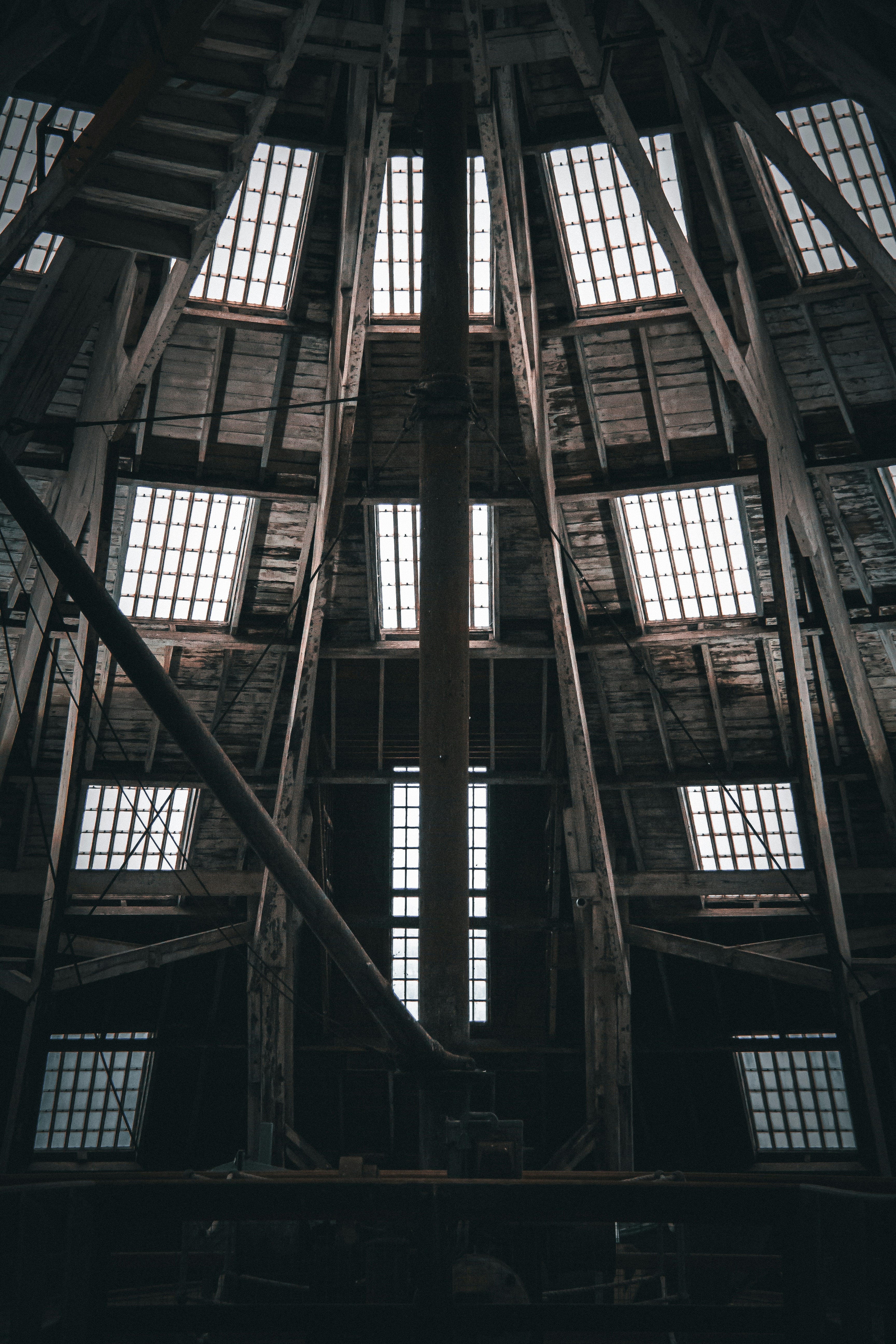 Timber Cathedral: Light Grids and a Central Spine