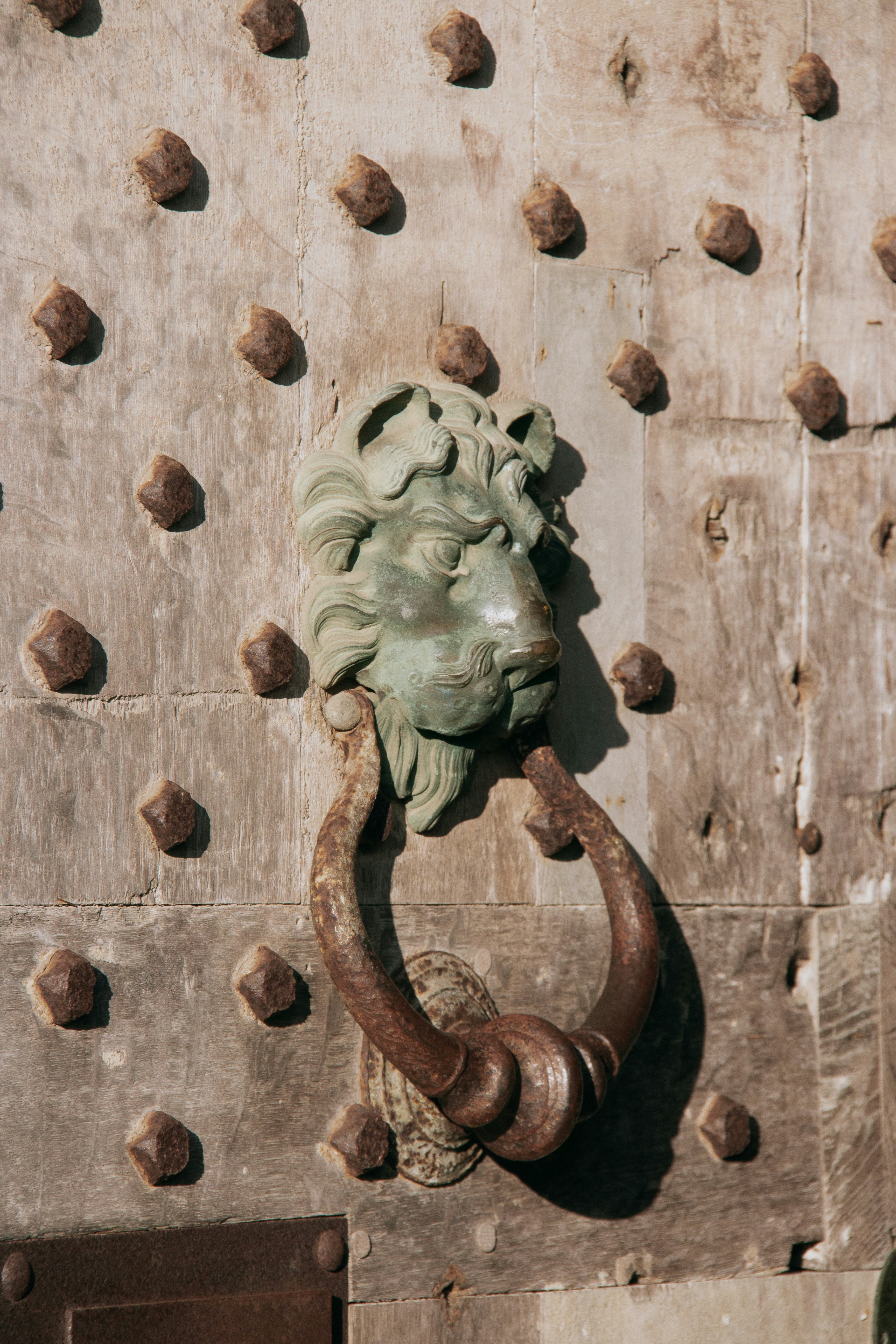 Patina Guard: The Lion Door Knocker on a Studded Timber Gate