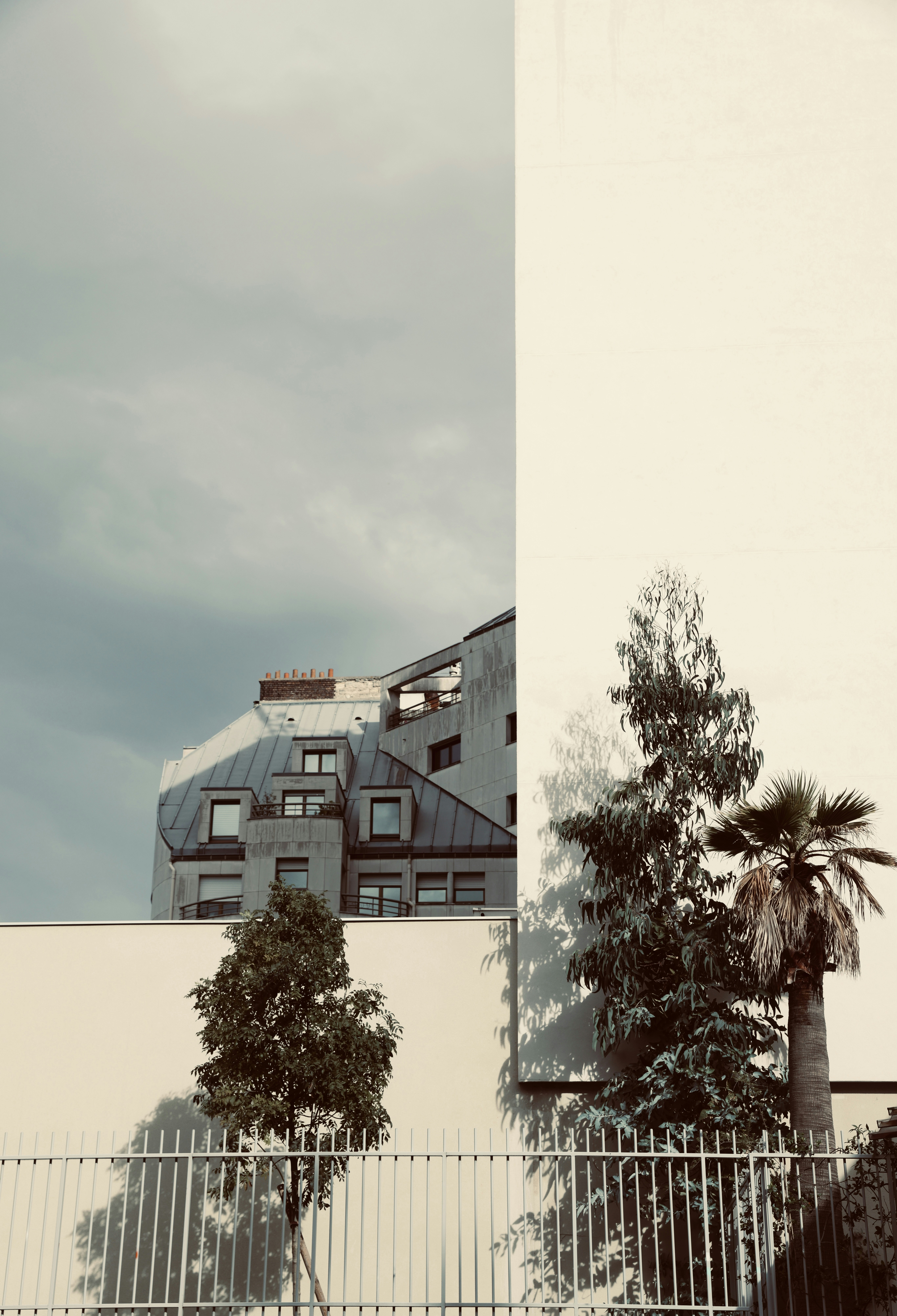 Urban Contrast: Nature Meets Modern Architecture