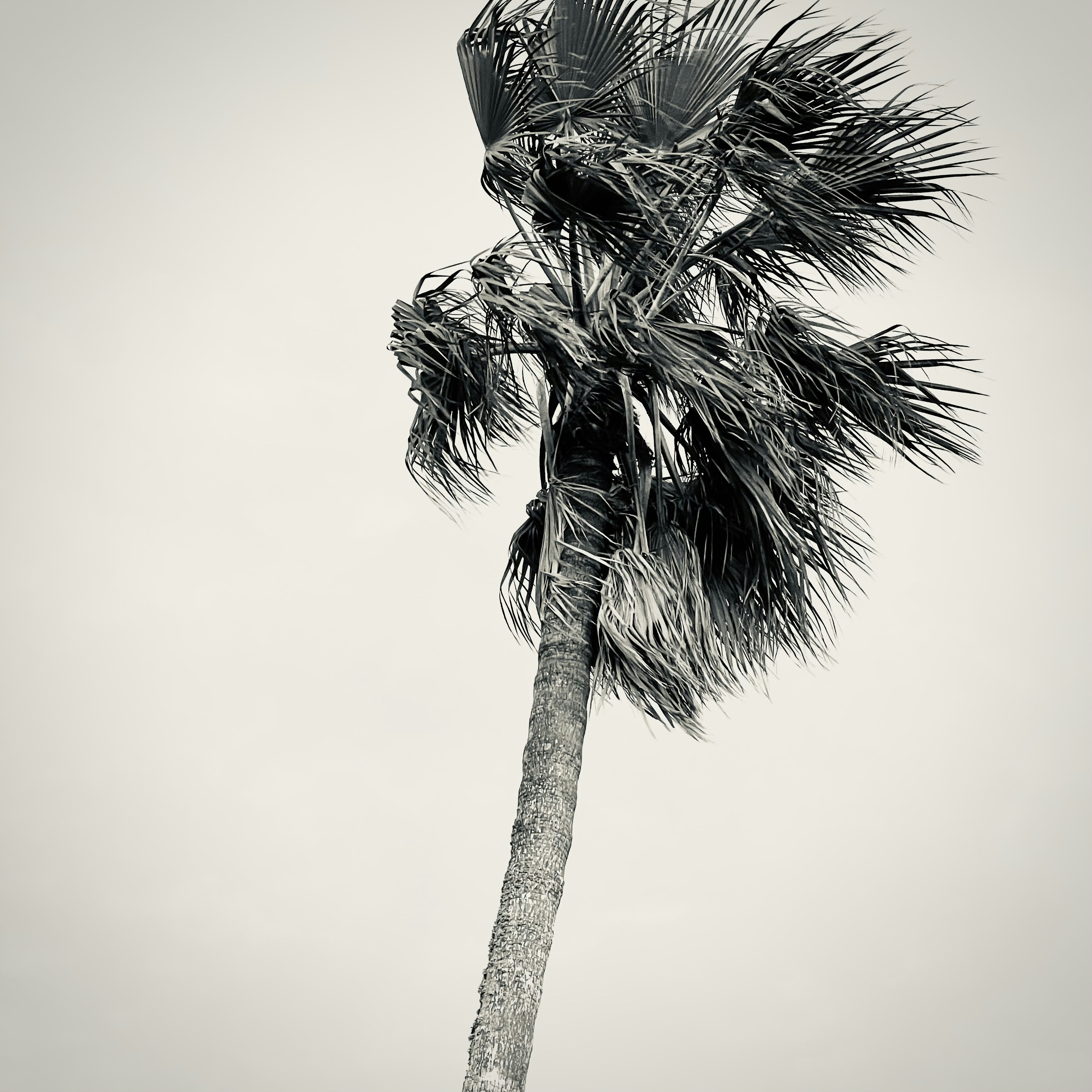 Photo by Bryan Van Der Mark with Apple iPhone 13 Pro Max