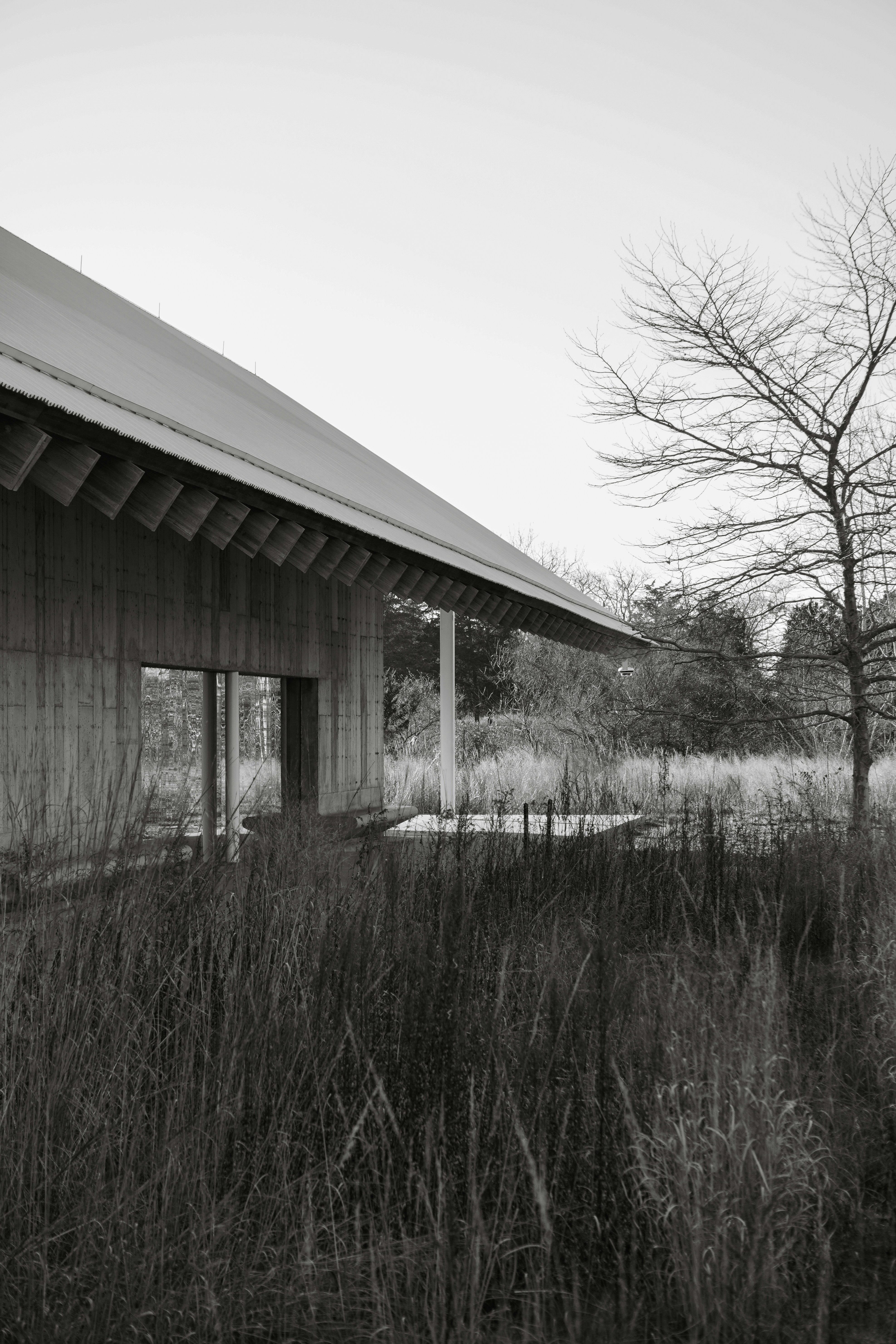 Winter Light on a Quiet Pavilion Framed by Tall Grass