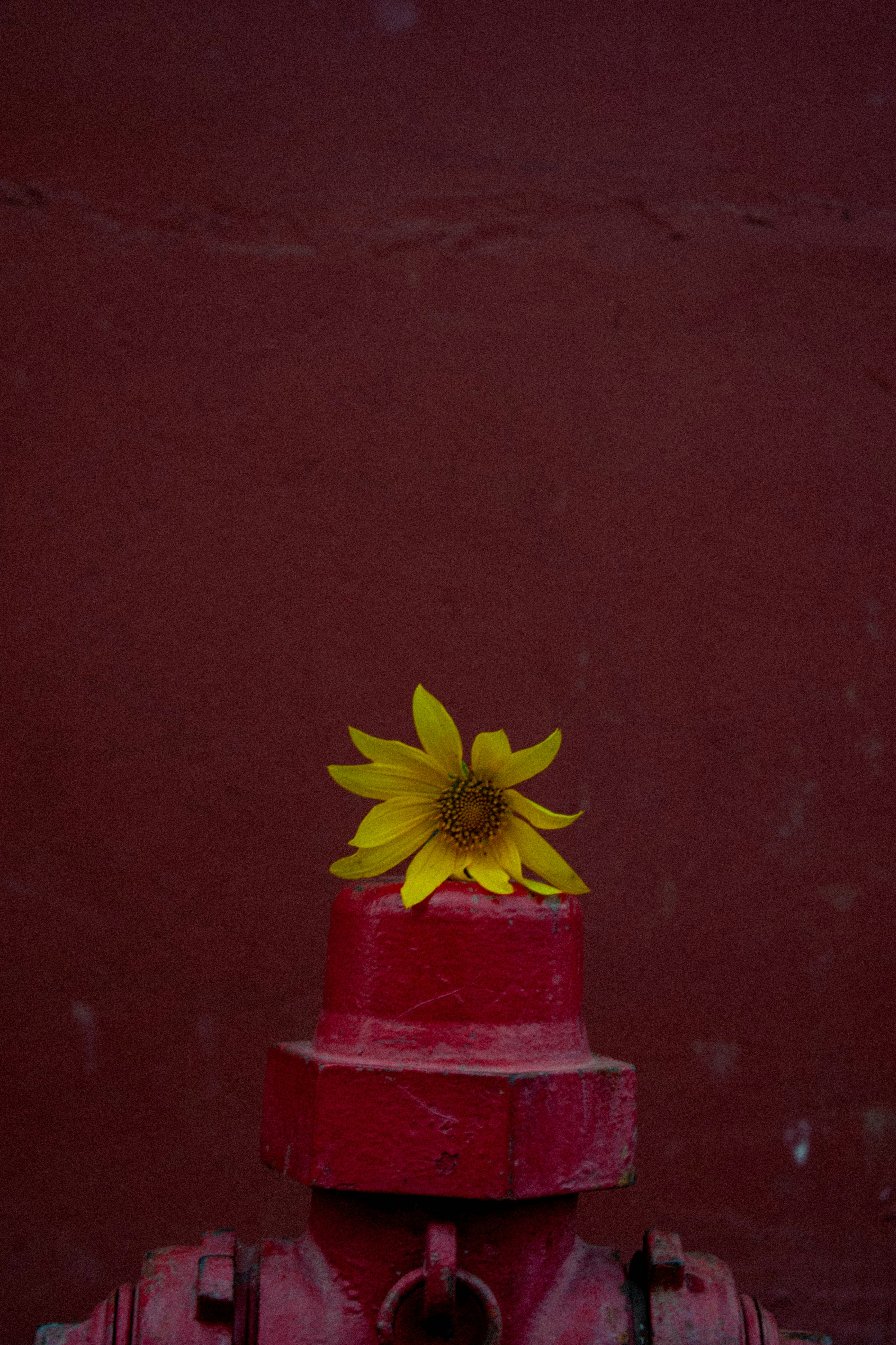 a red fire hydrant with a yellow flower on top