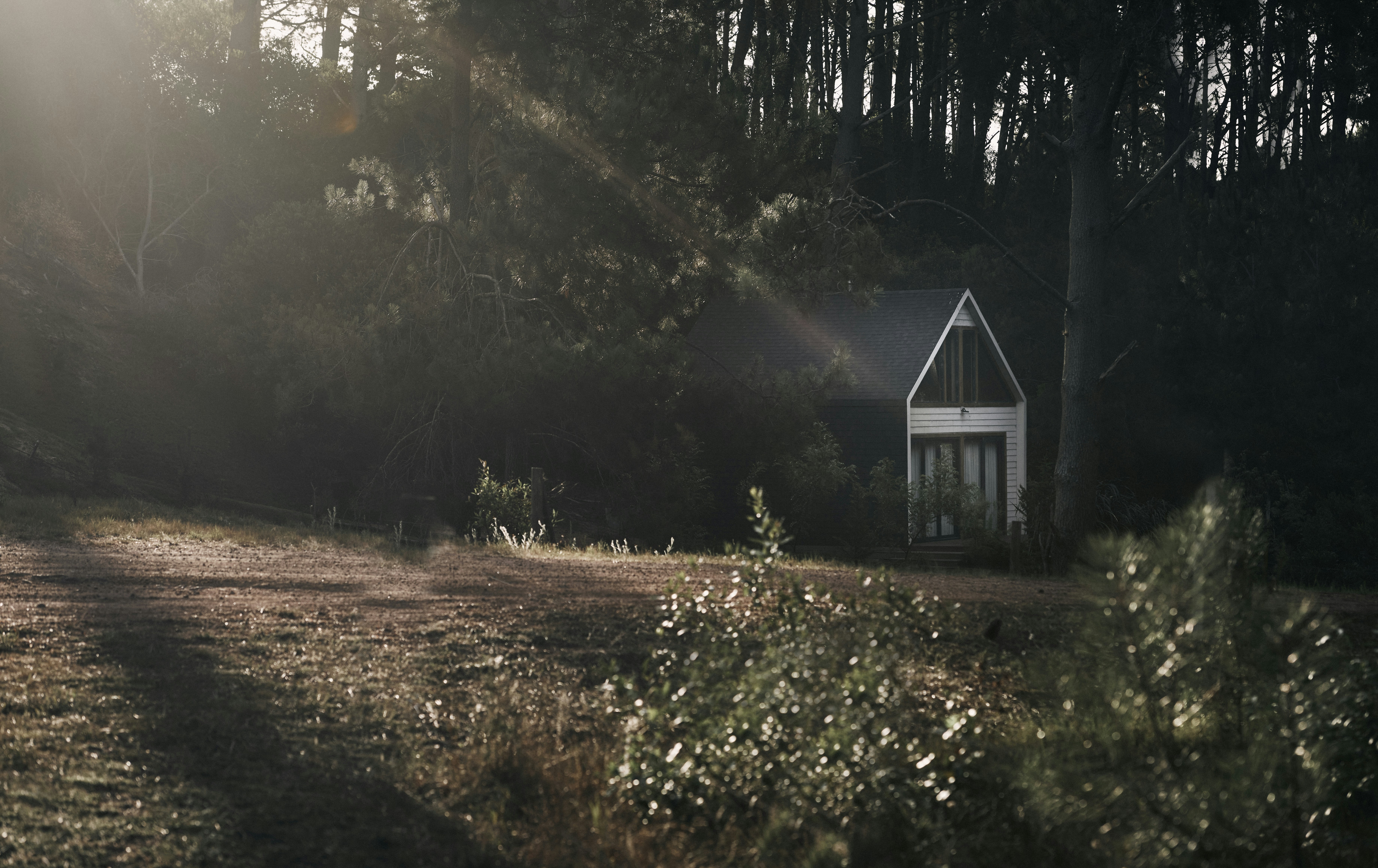 A quaint cabin nestled in a forest clearing, bathed in soft sunlight filtering through the trees. The serene setting invites contemplation.