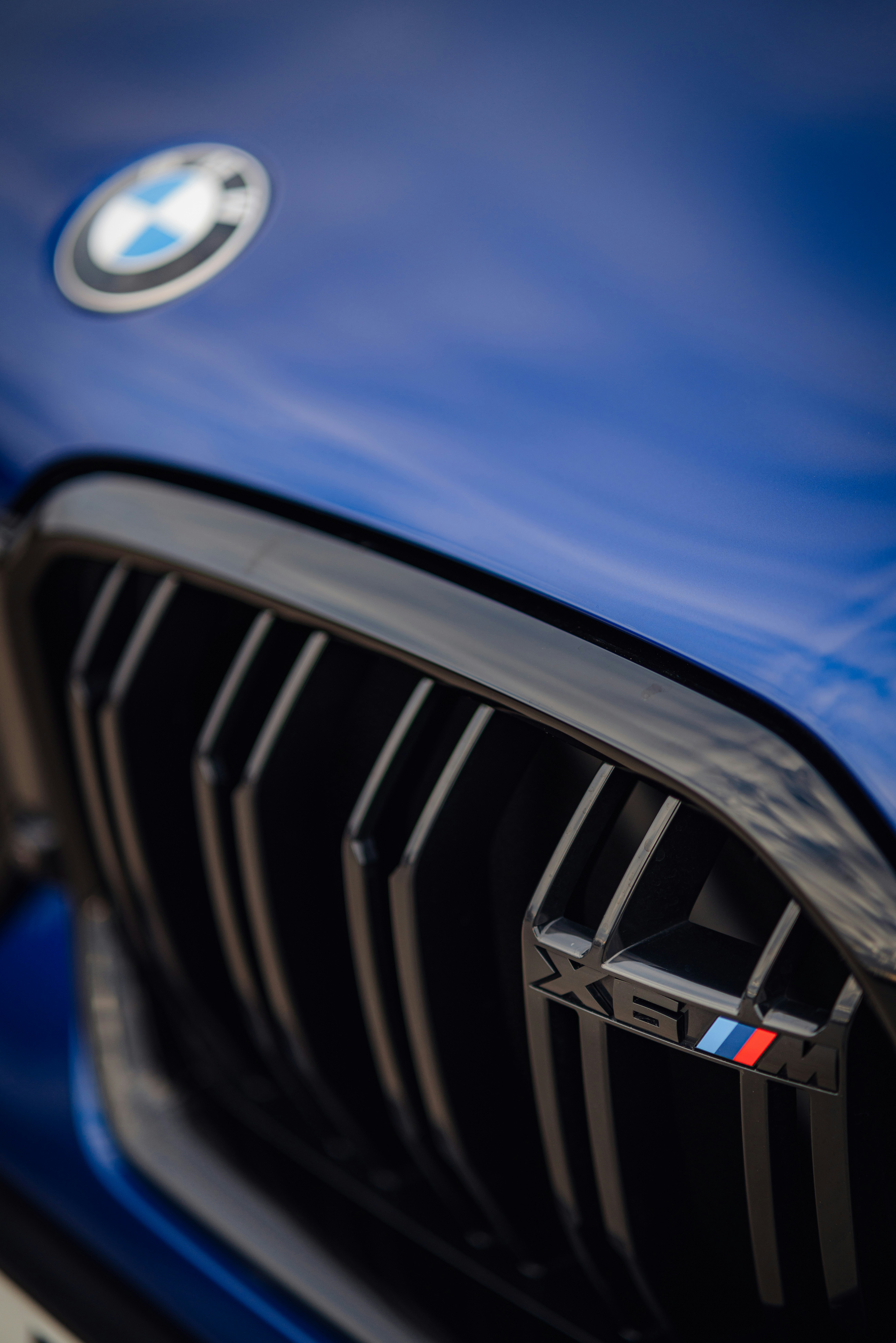 A close up of a bmw logo on a blue car photo – Free Hungary Image on ...