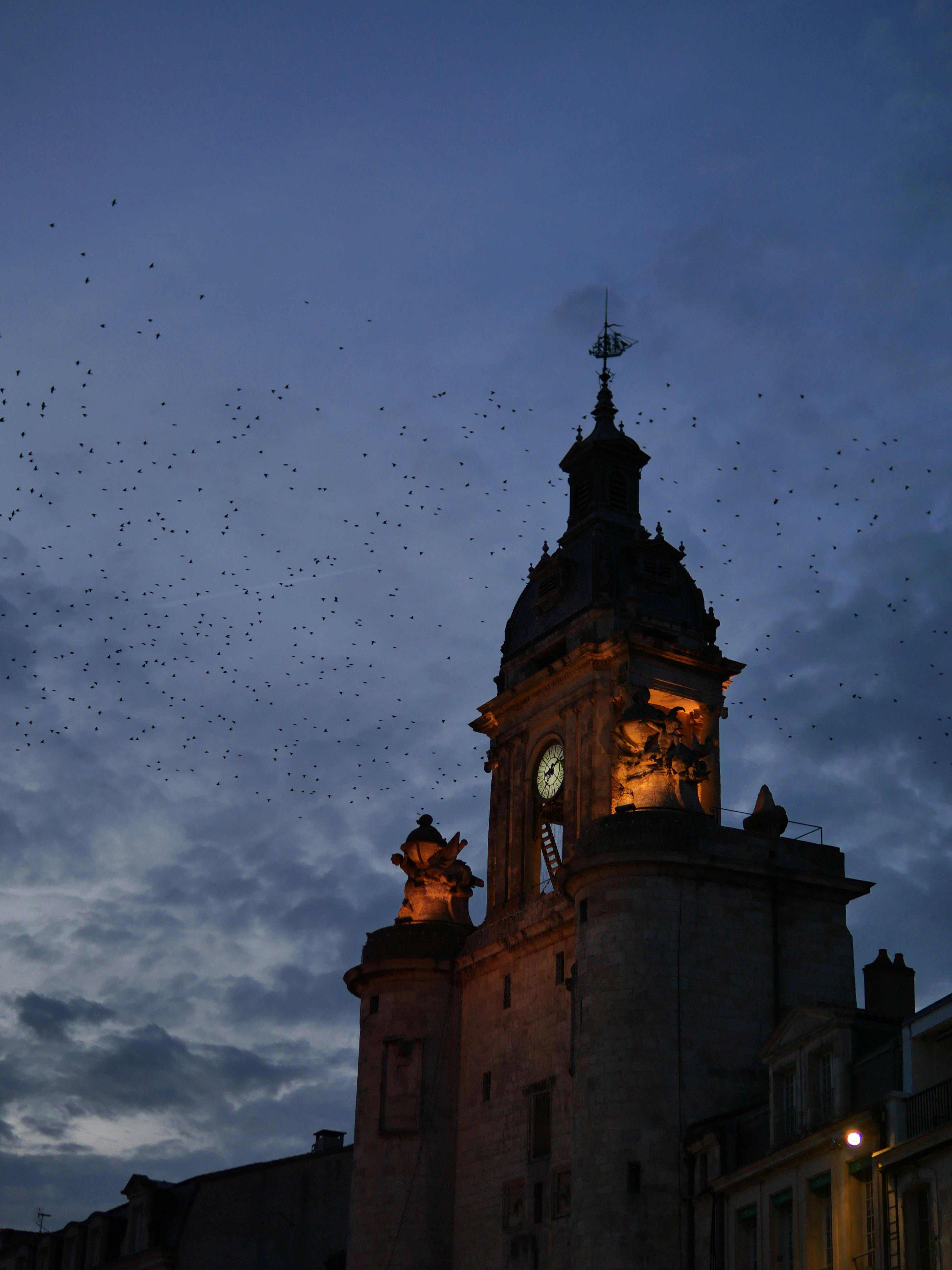 Dusk Clocktower Beneath a Murmuration Over the City