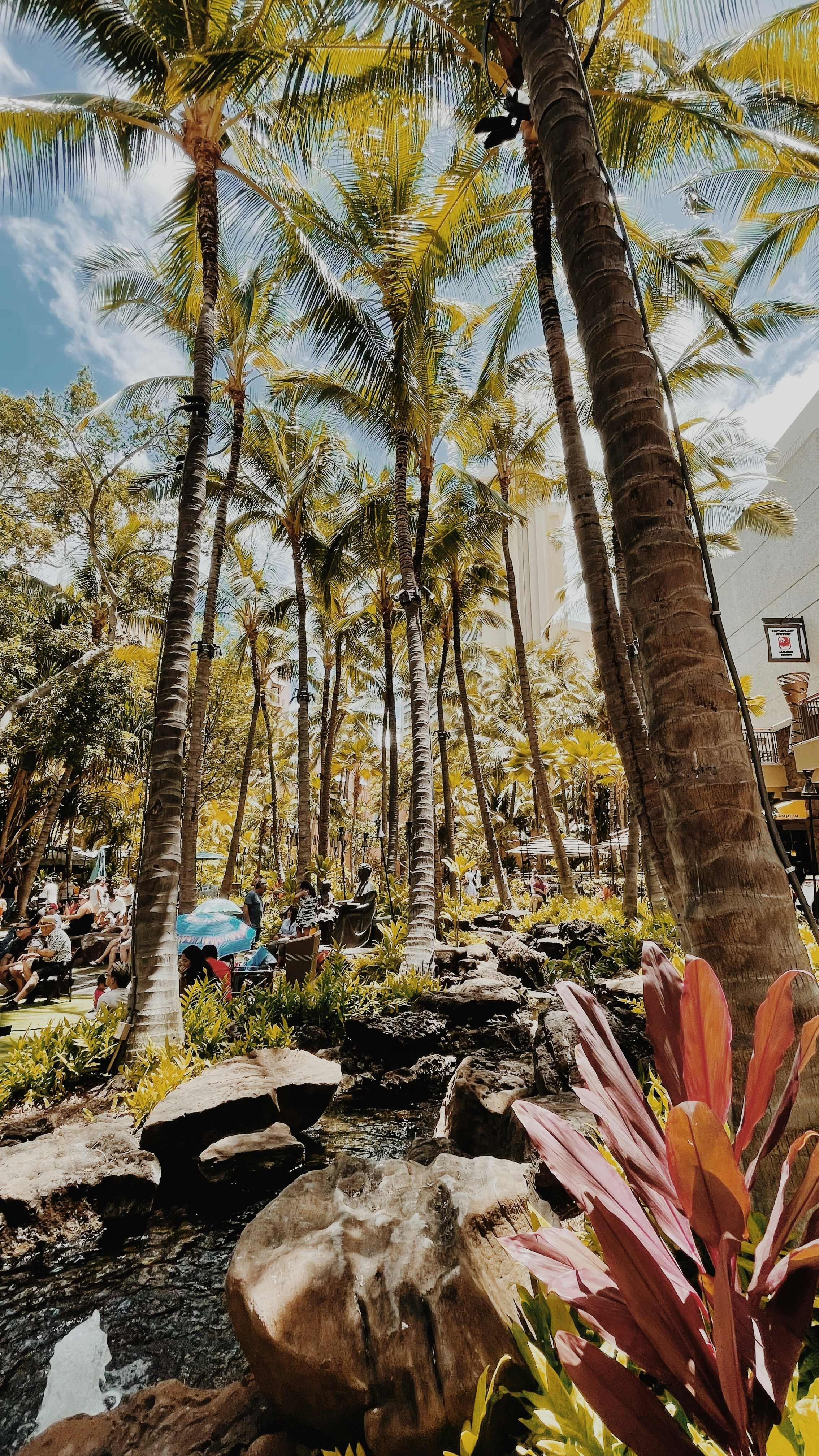 Nicolas Langtiw (@niclangtiw) | Unsplash Photo Community