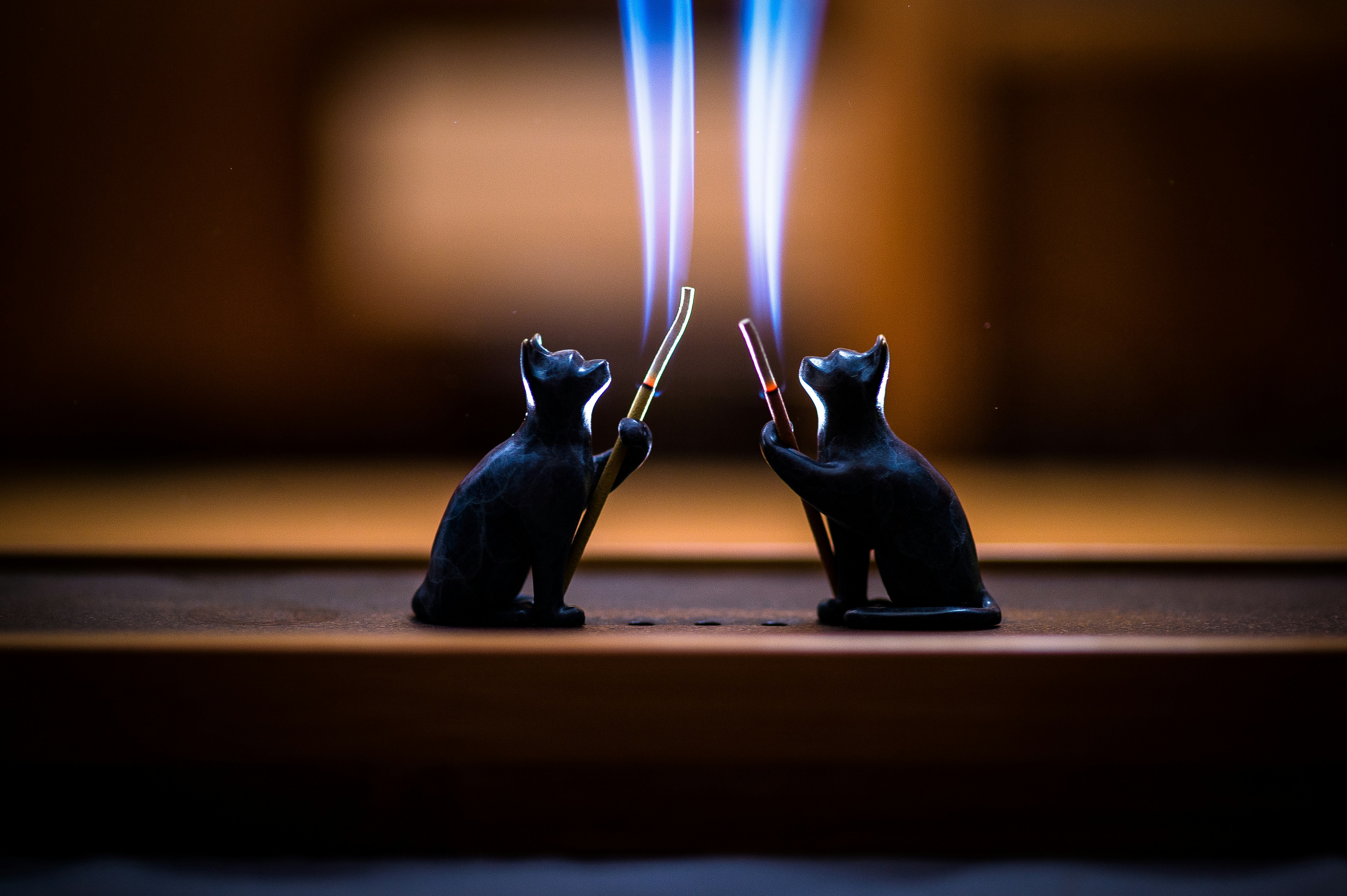 Blue Flame Duel Between Twin Cat Figurines