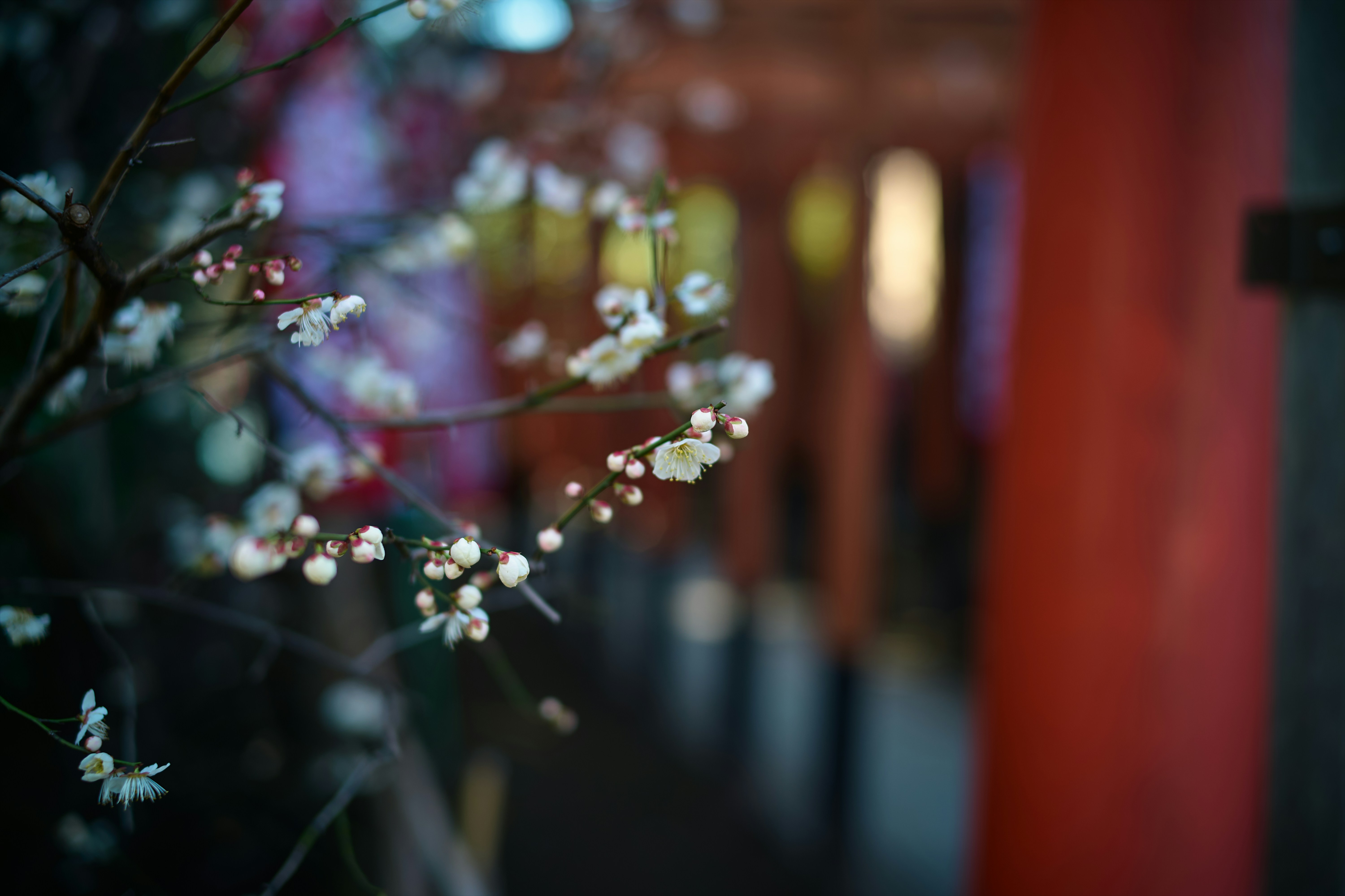 Photo by Film Code with Sigma fp