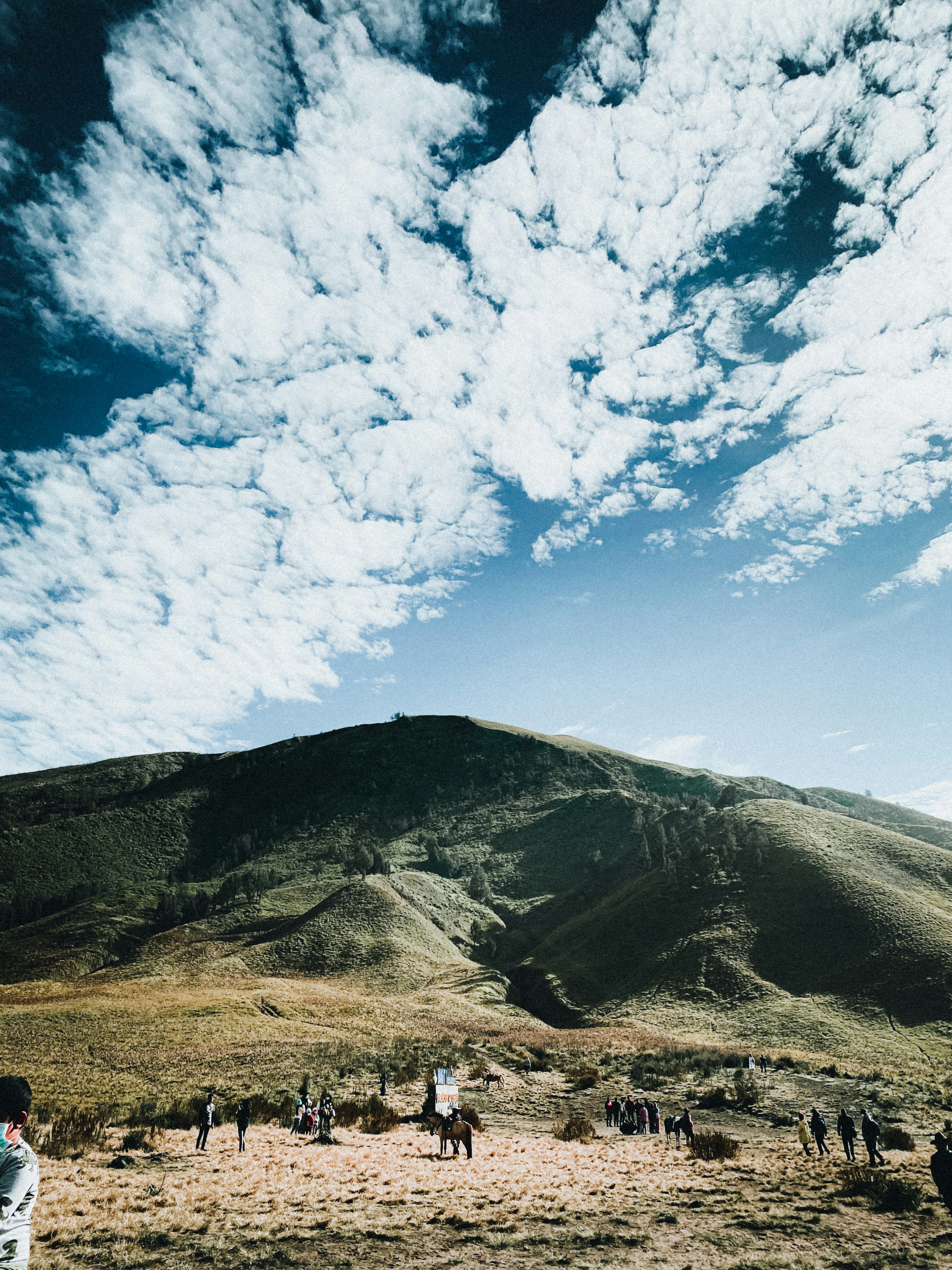 A group of people standing on top of a lush green hillside photo – Free ...