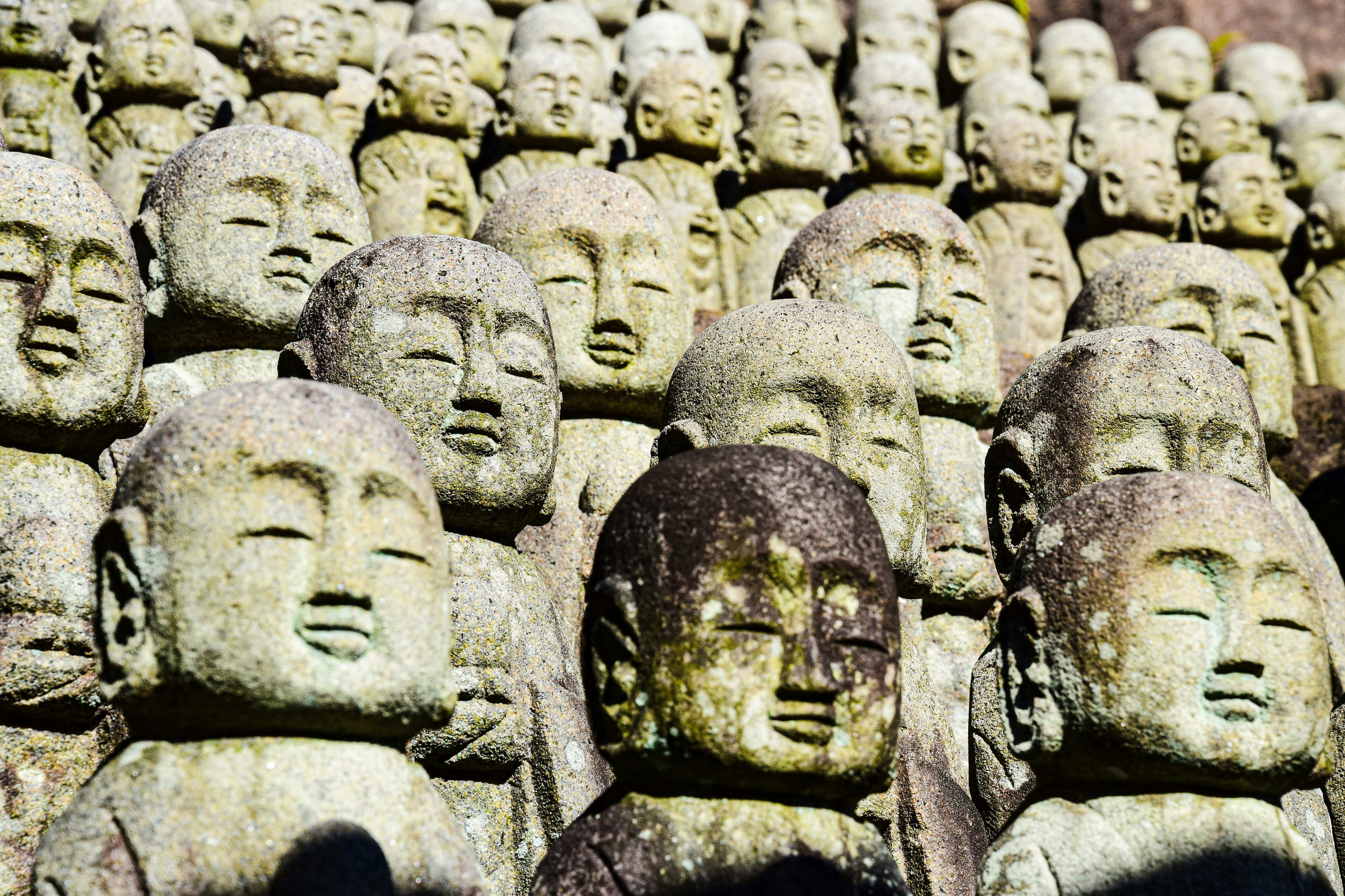 A large group of heads of buddha statues photo – Free Kamakura Image on ...