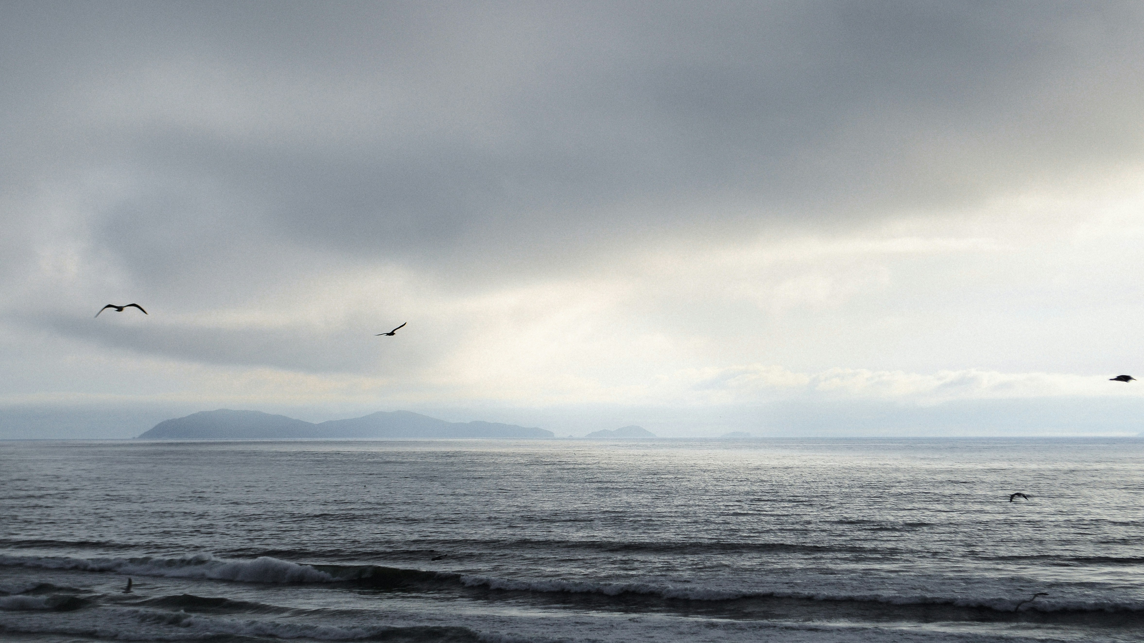 Gulls soar above the ocean beneath dramatic clouds with streaks of sunlight piercing through.