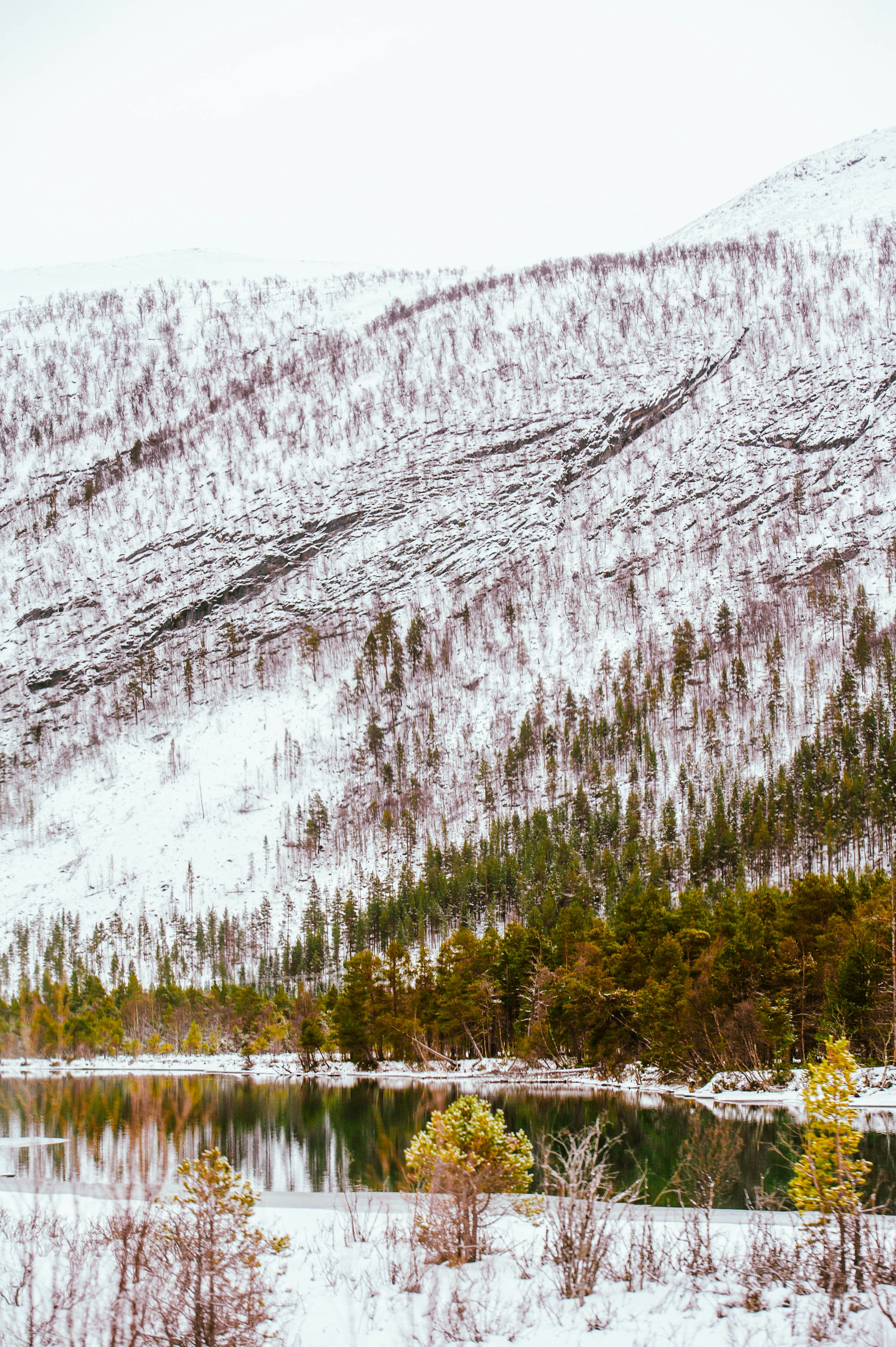 Snow-covered mountains loom over a serene lake, reflecting the surrounding evergreen trees and the soft light of a cloudy day.