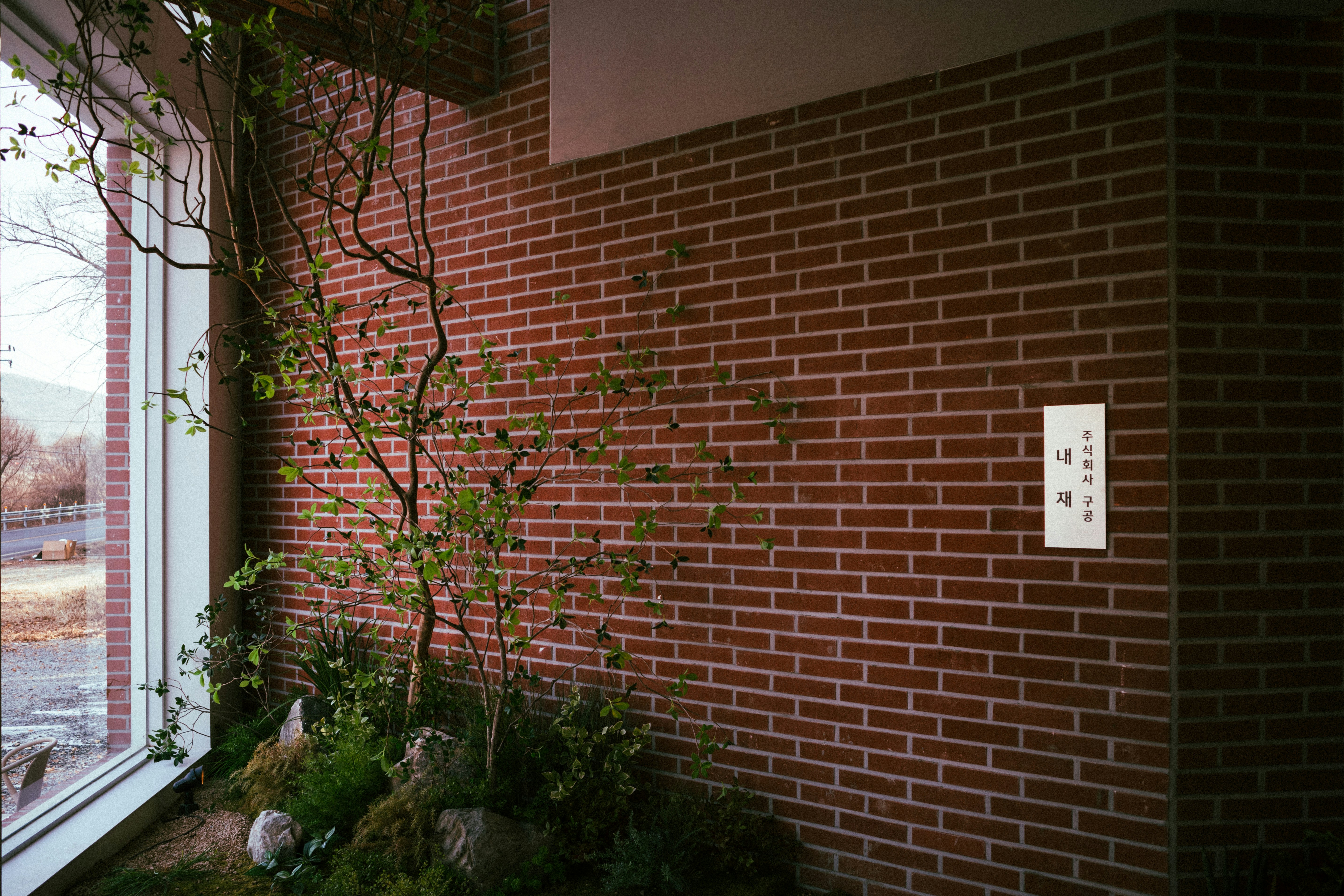 Ivy-Grown Brick Facade Framing a Lone White Sign