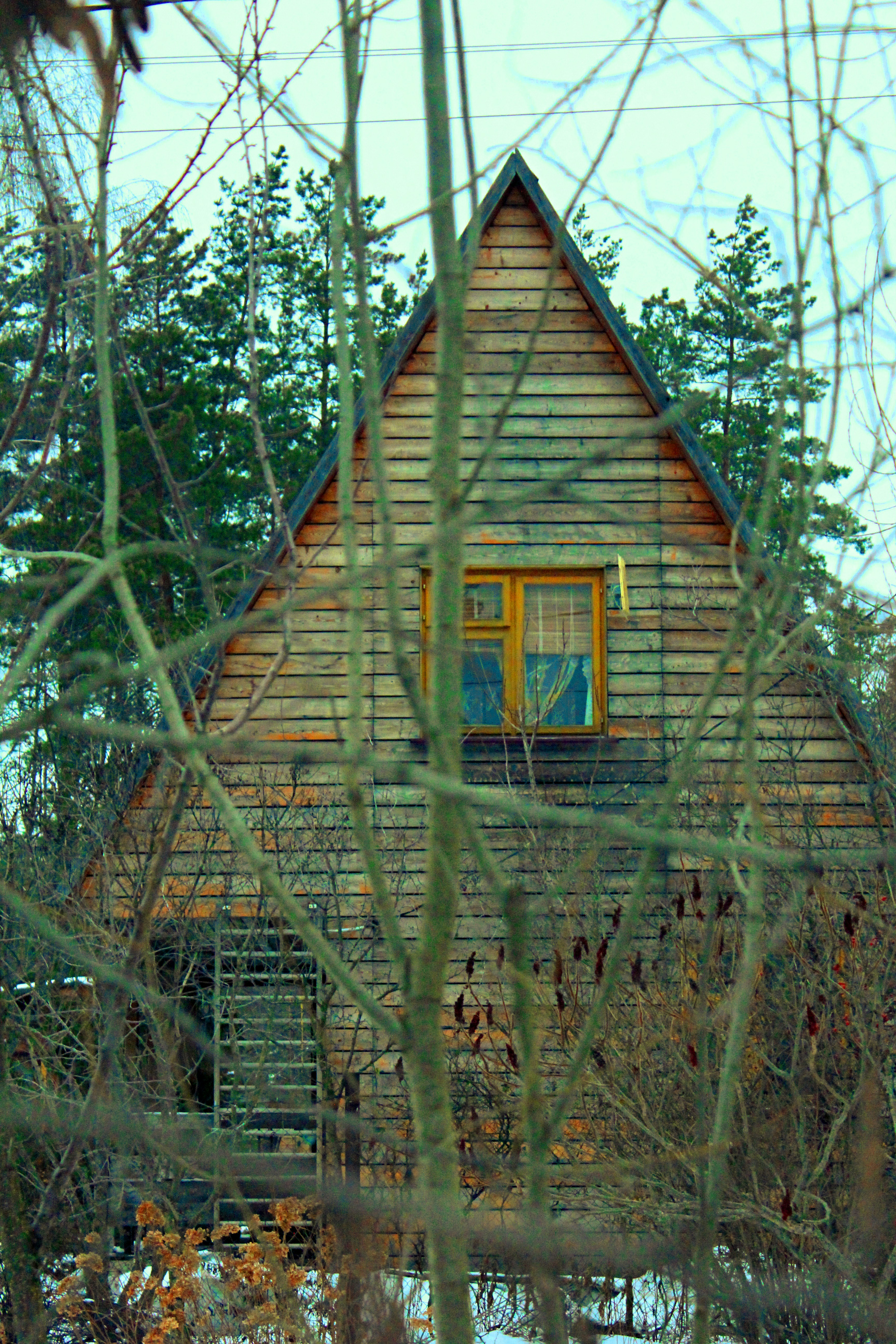 A house with a yellow window surrounded by trees photo – Free Россия ...
