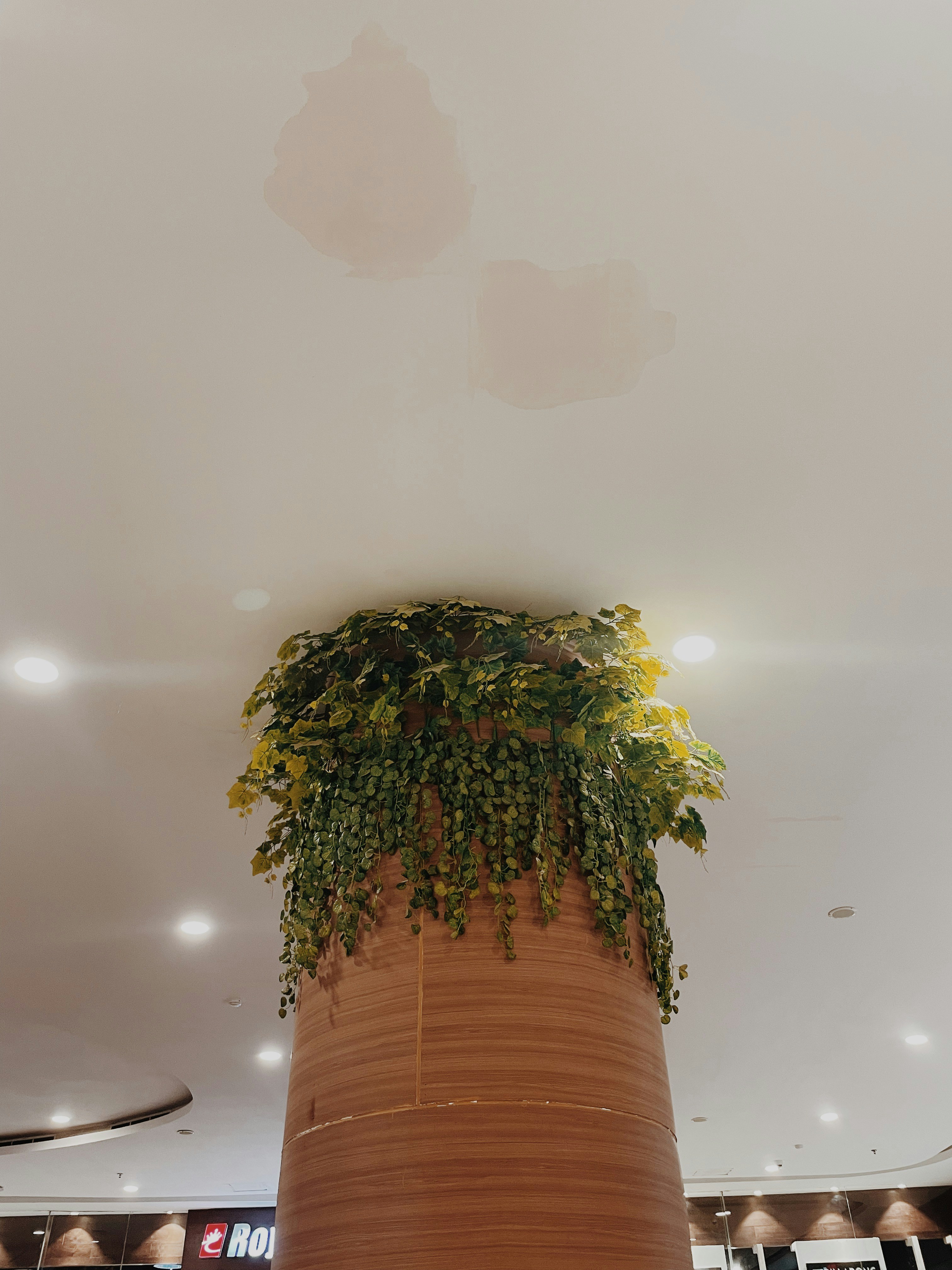 Verdant Crown on a Wooden Atrium Column